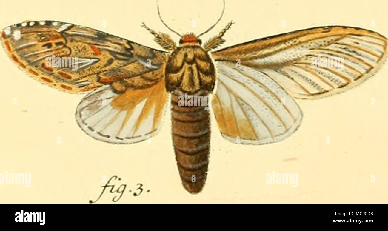 . FV-4-Pkalaejv. extrop: Bcrnii. d. al. Afa dcrrf. cri/ir. Jxg Tharida ...