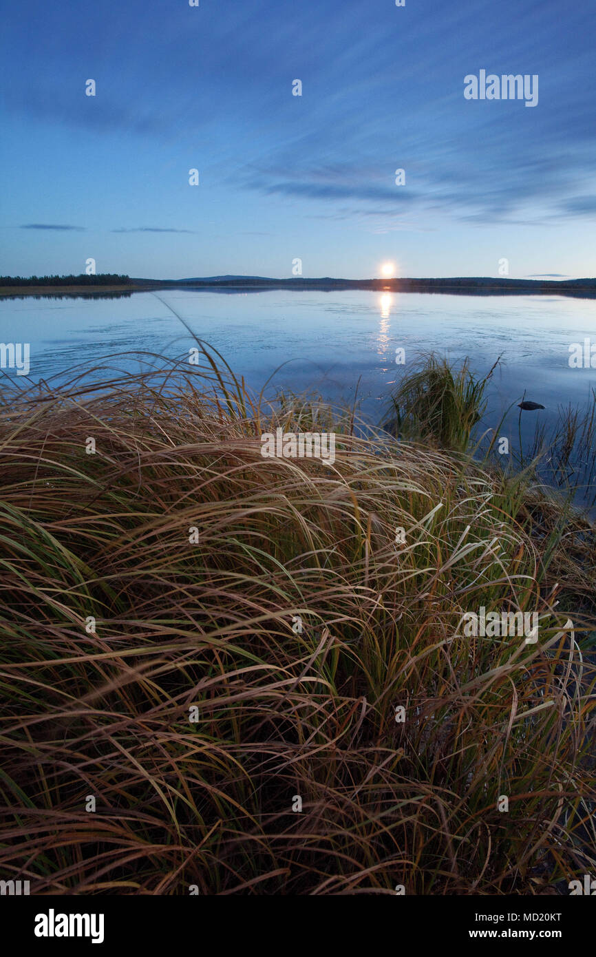 Lappland lappland -Fotos und -Bildmaterial in hoher Auflösung – Alamy