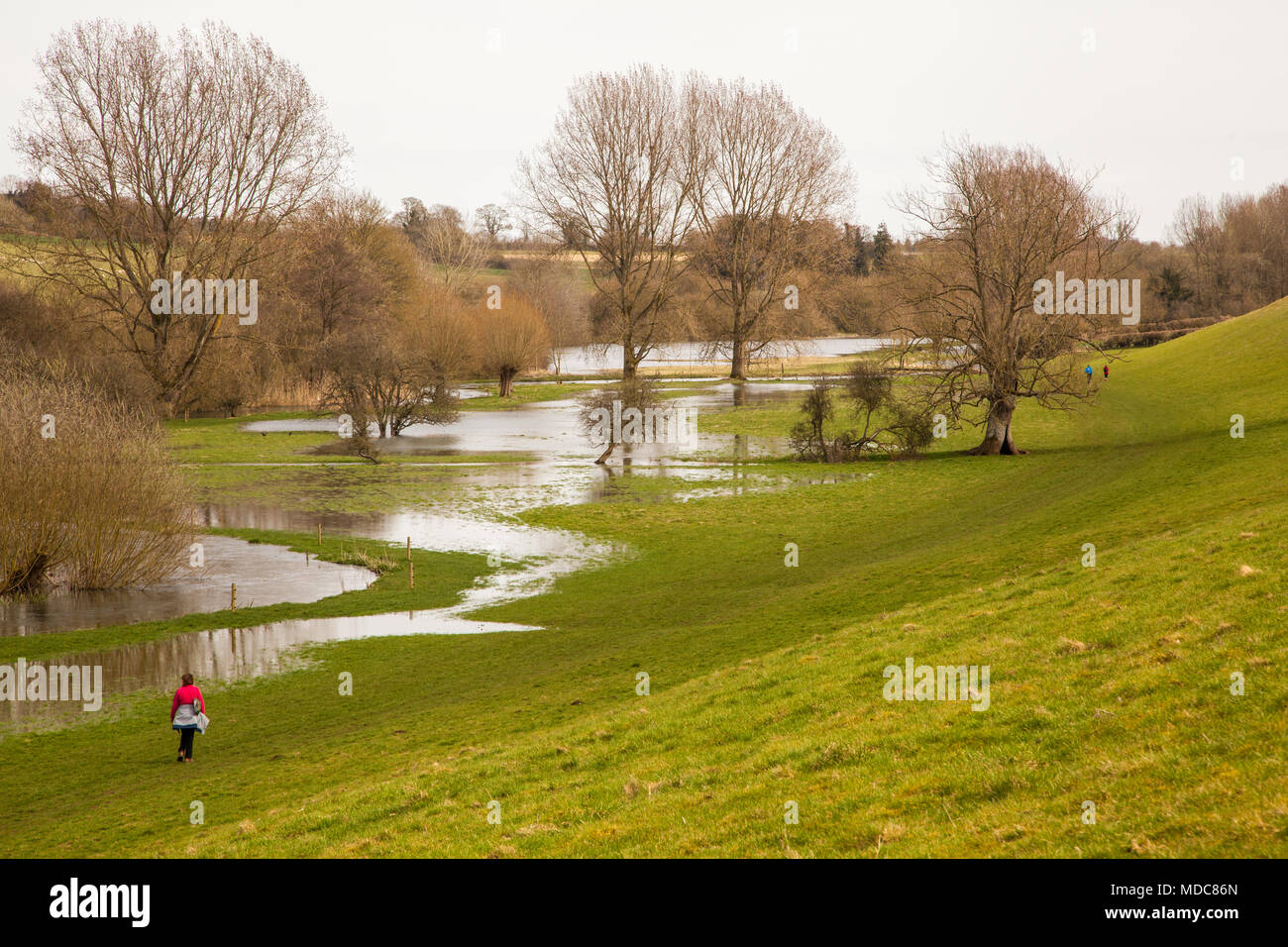 Fluss coln cotswolds Stockfotos und -bilder Kaufen - Alamy