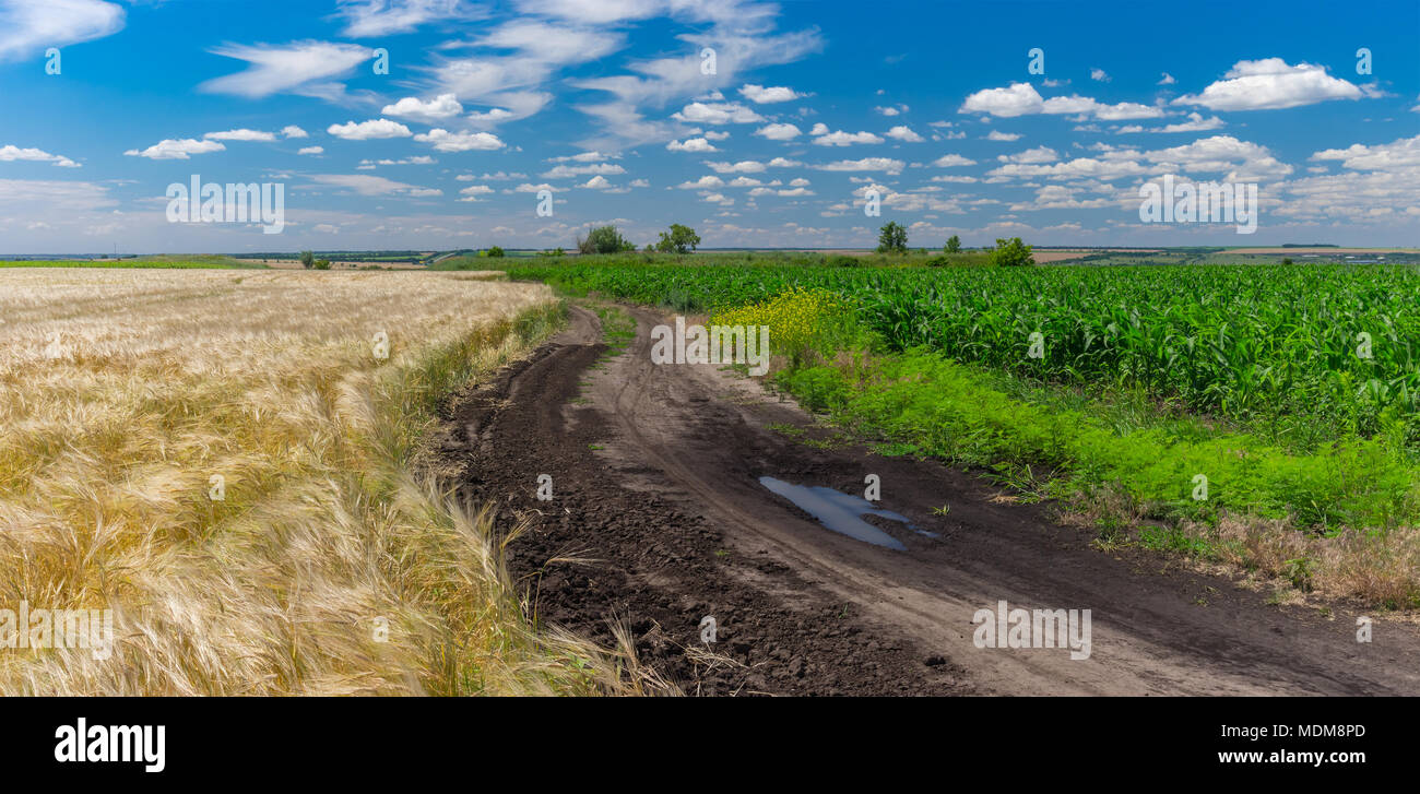 Schwarzerde erde -Fotos und -Bildmaterial in hoher Auflösung – Alamy
