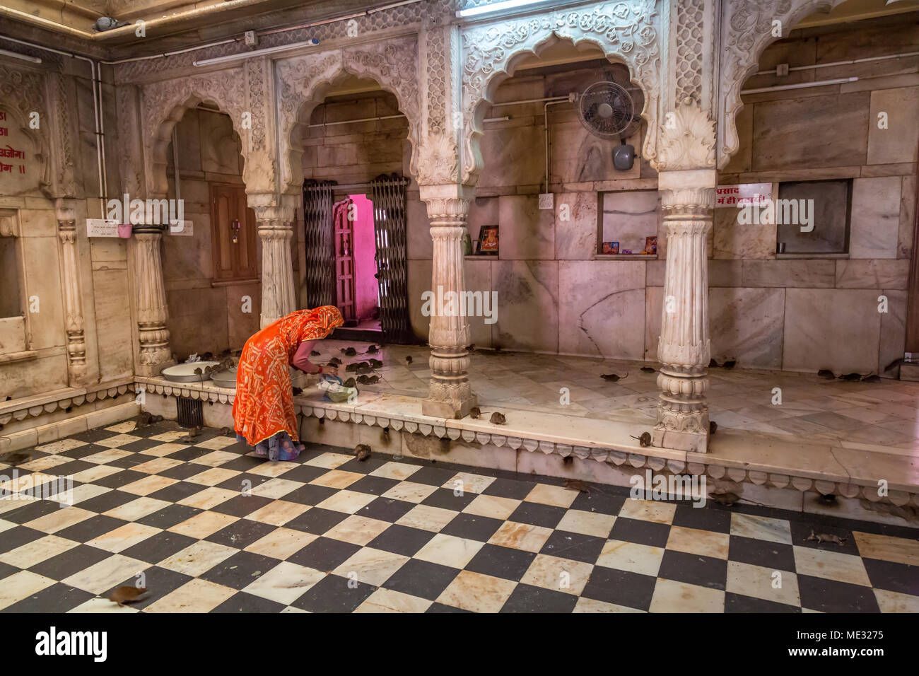 Karni mata temple -Fotos und -Bildmaterial in hoher Auflösung – Alamy