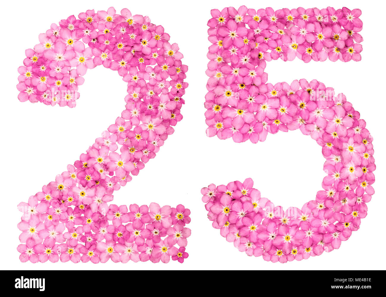 Arabische Zahlen 25, 25, von rosa Vergissmeinnicht Blumen, auf weißem ...
