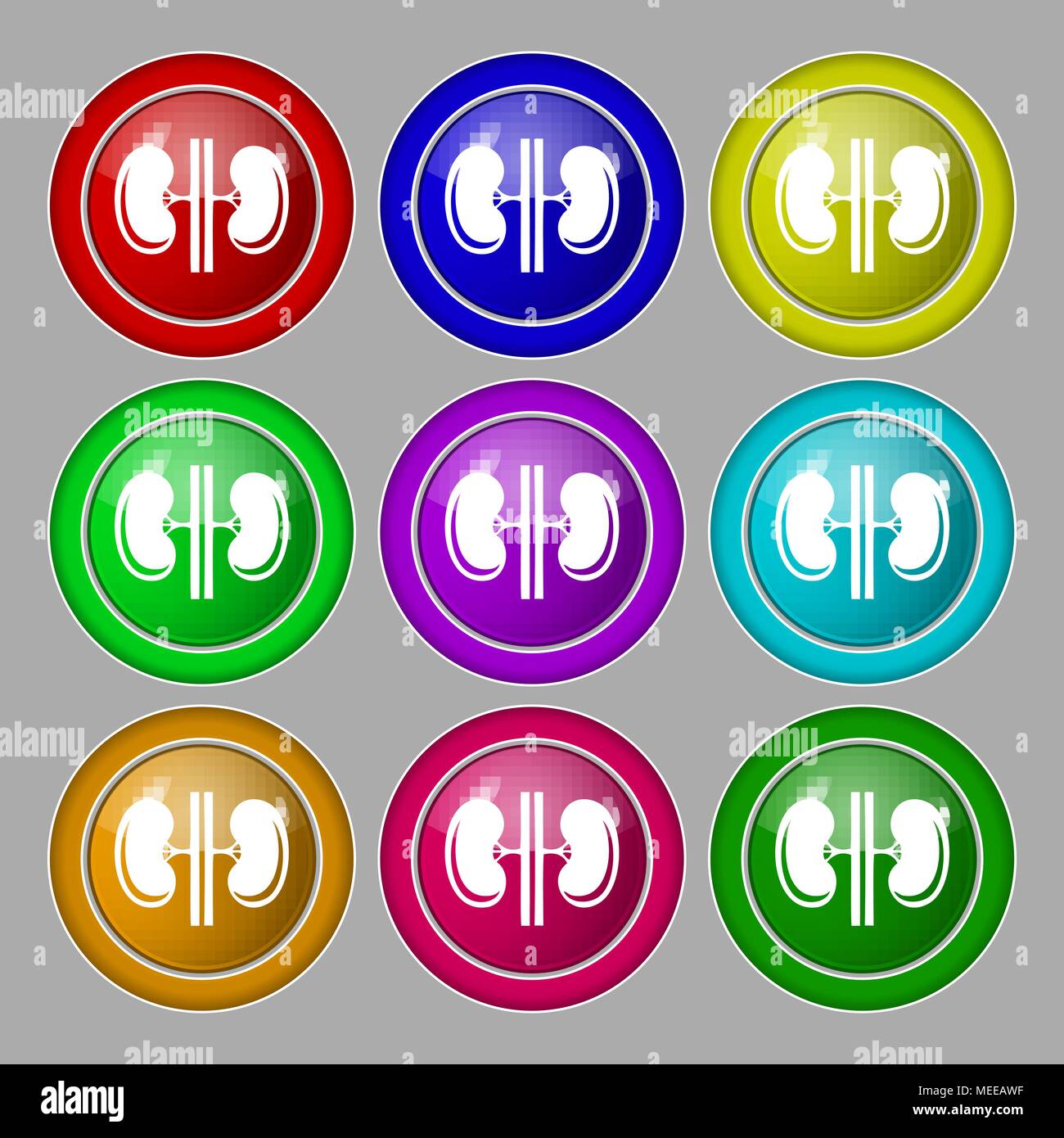 Nieren Symbol unterzeichnen. Symbol auf neun Runden farbigen Buttons. Vector Illustration Stock ...
