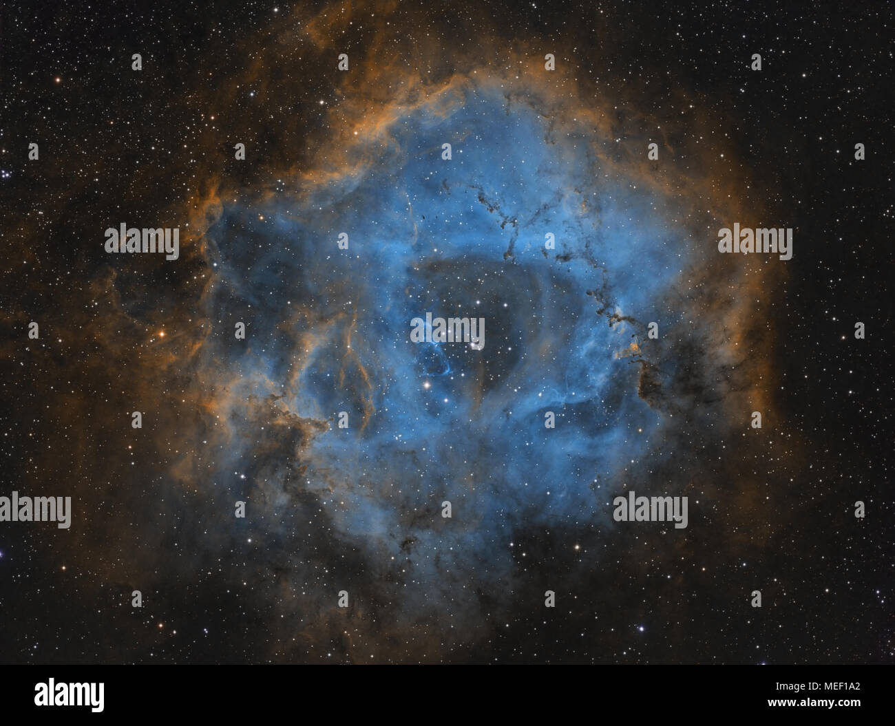 Die Rosette Nebula (Caldwell 49) ist ein großer Wasserstoff Cloud im ...