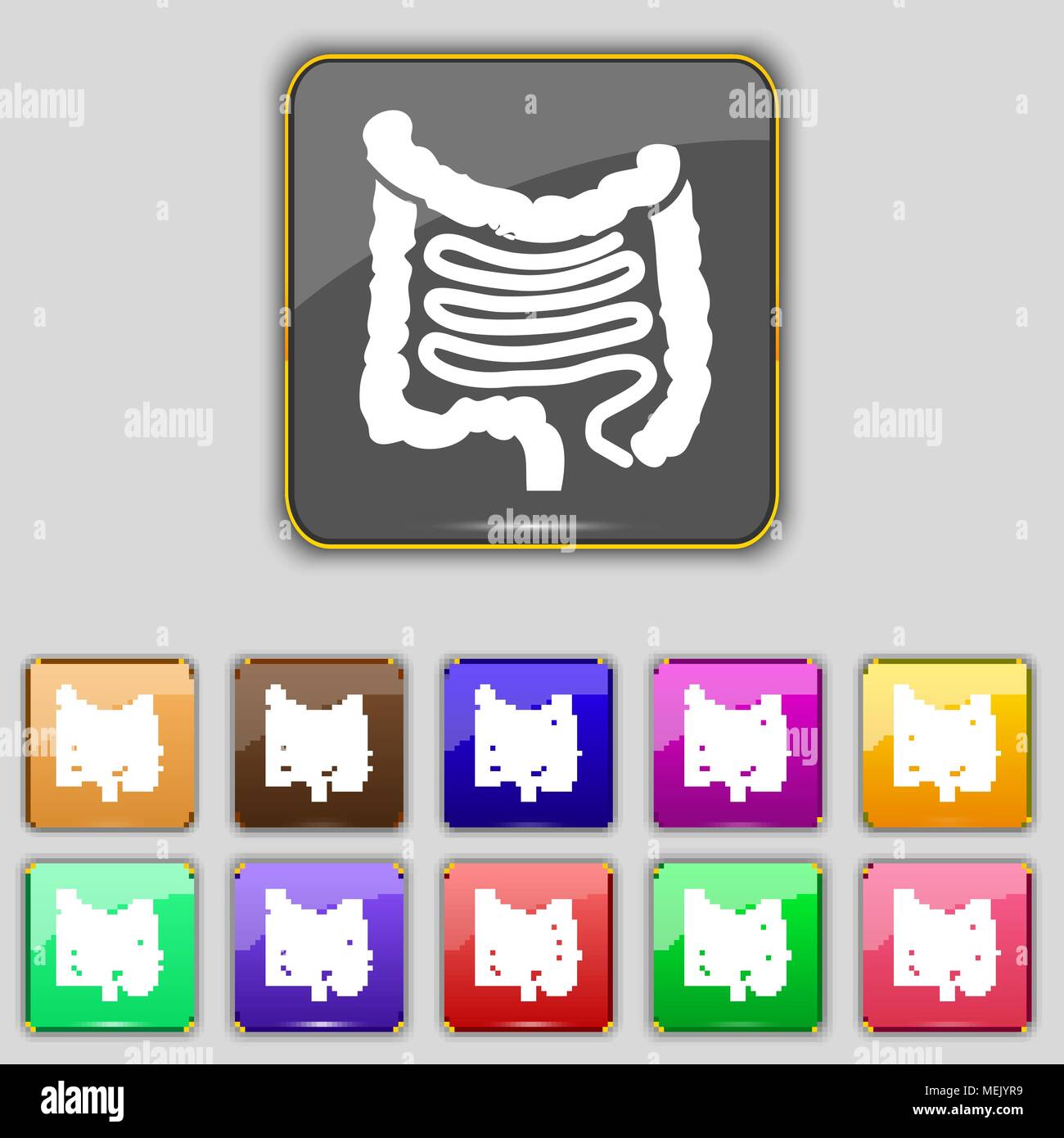 Darm Symbol unterzeichnen. Set mit 11 farbigen Buttons für Ihre Website ...
