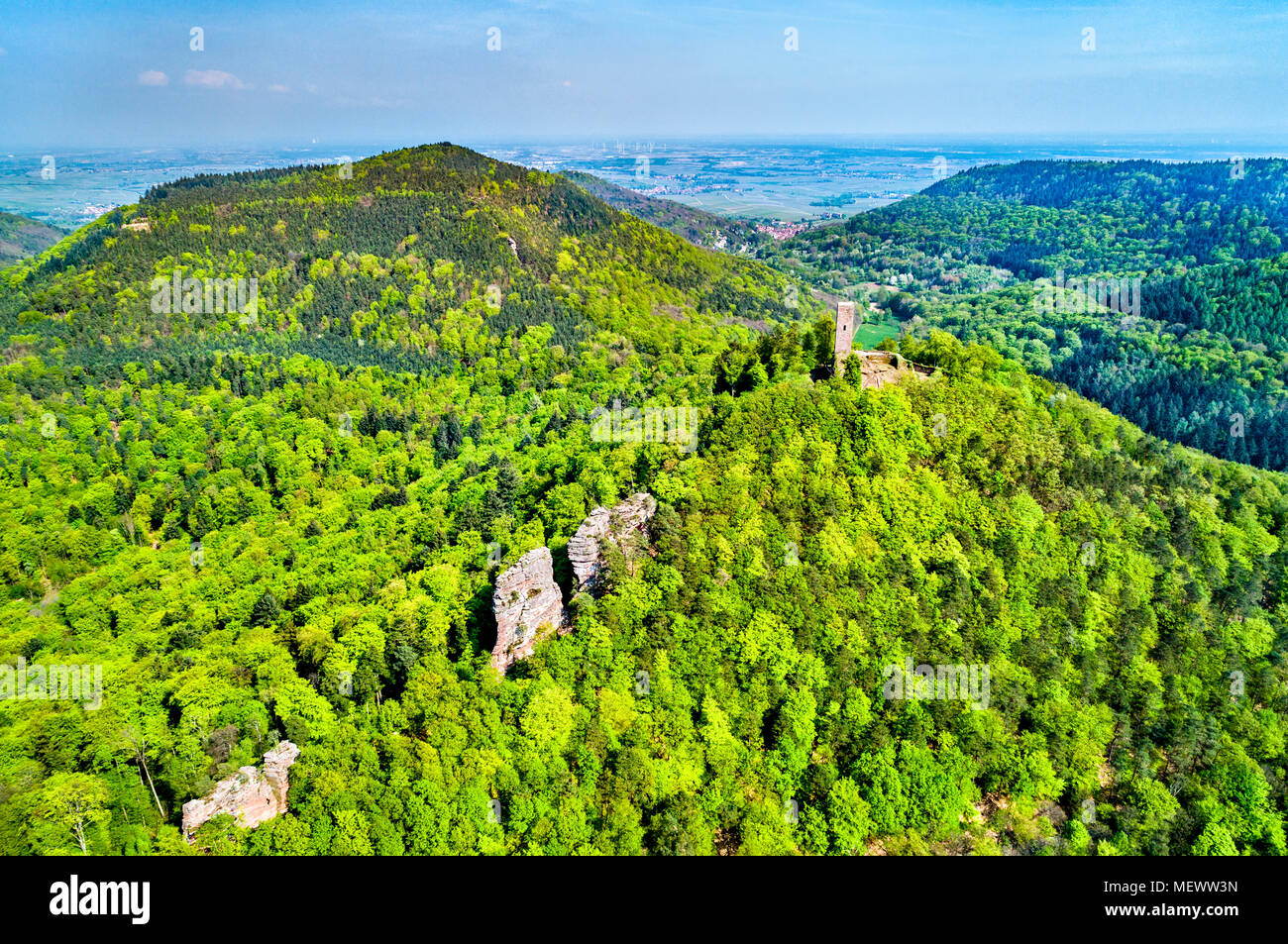 Pfalzer Wald Str