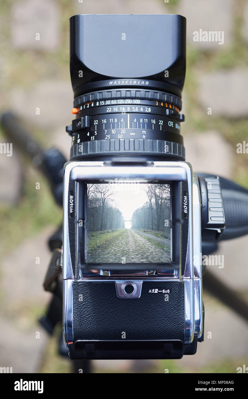 Wald von arenberg -Fotos und -Bildmaterial in hoher Auflösung – Alamy