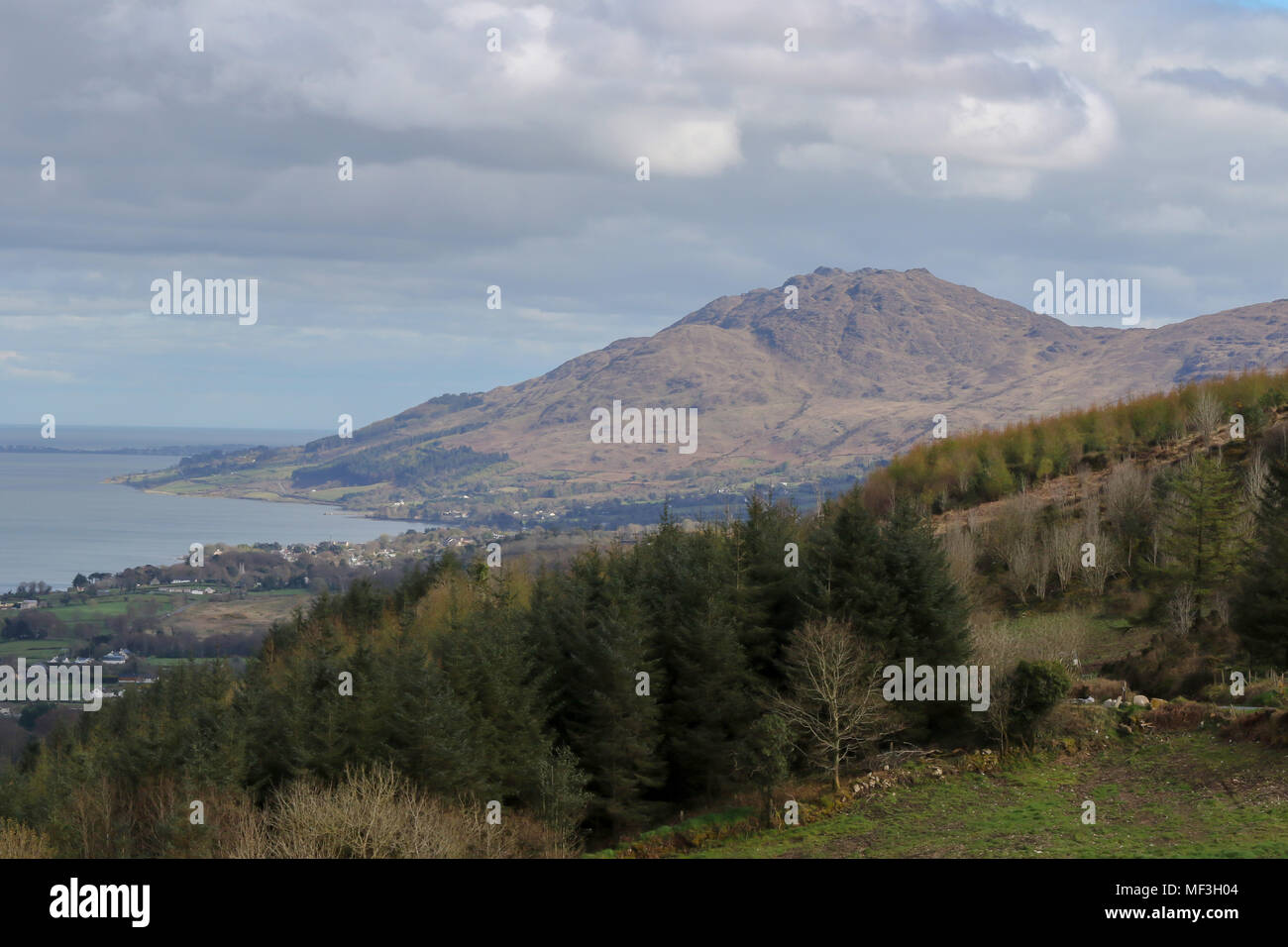 Slieve foy carlingford lough -Fotos und -Bildmaterial in hoher ...