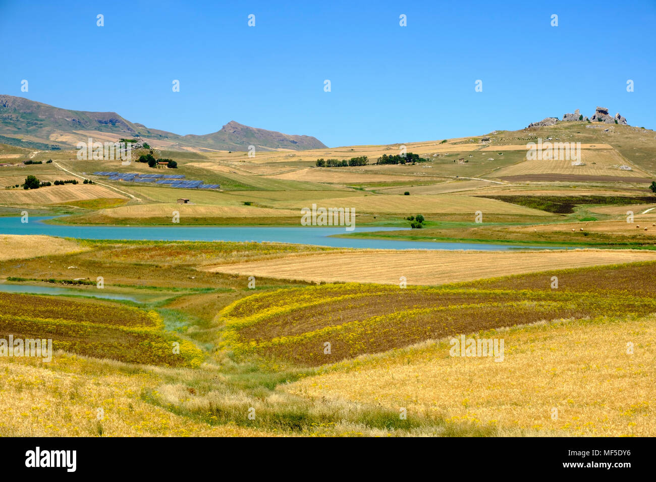 Cozzo imbriaca -Fotos und -Bildmaterial in hoher Auflösung – Alamy