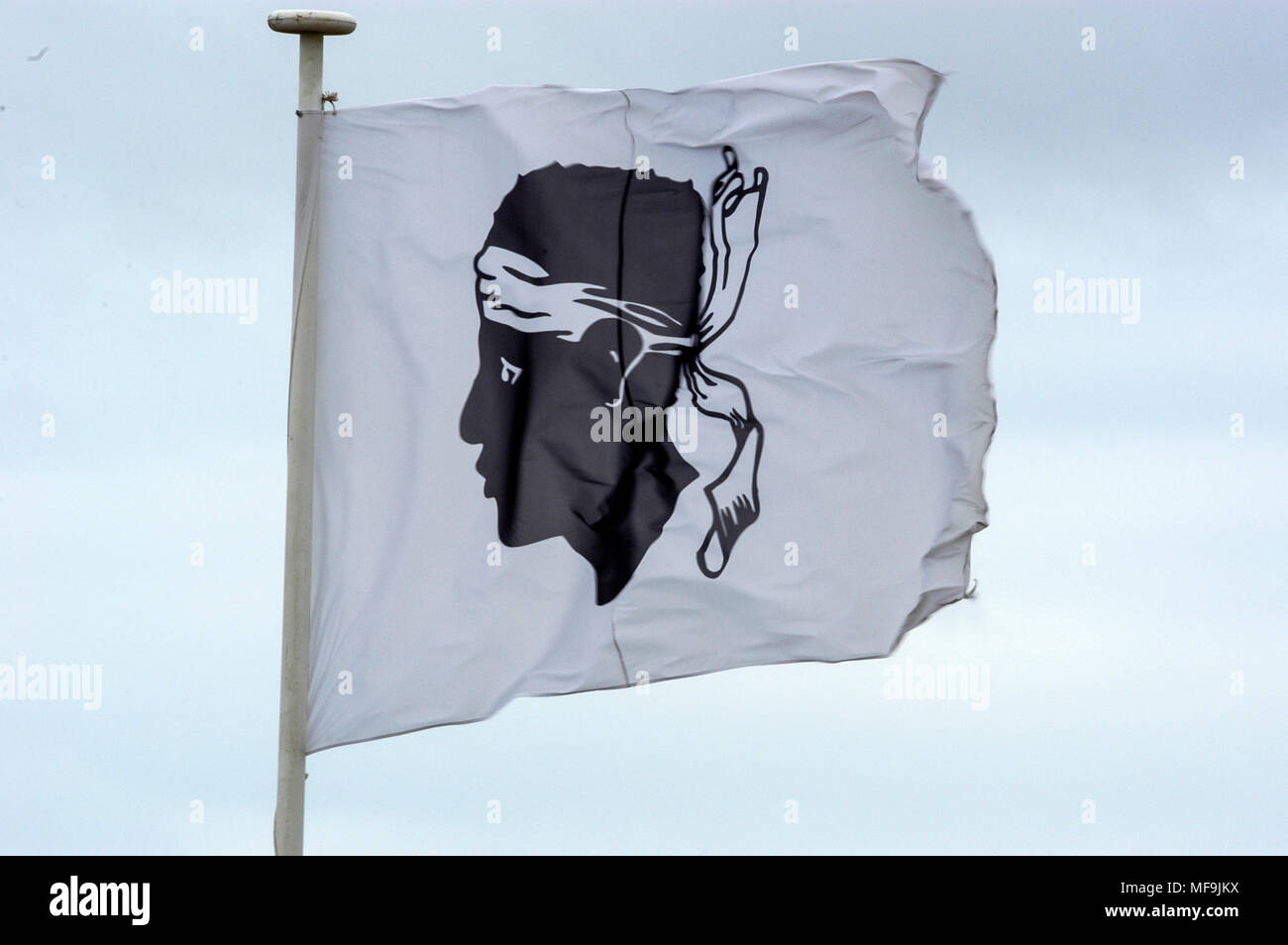 Corsica flag -Fotos und -Bildmaterial in hoher Auflösung – Alamy