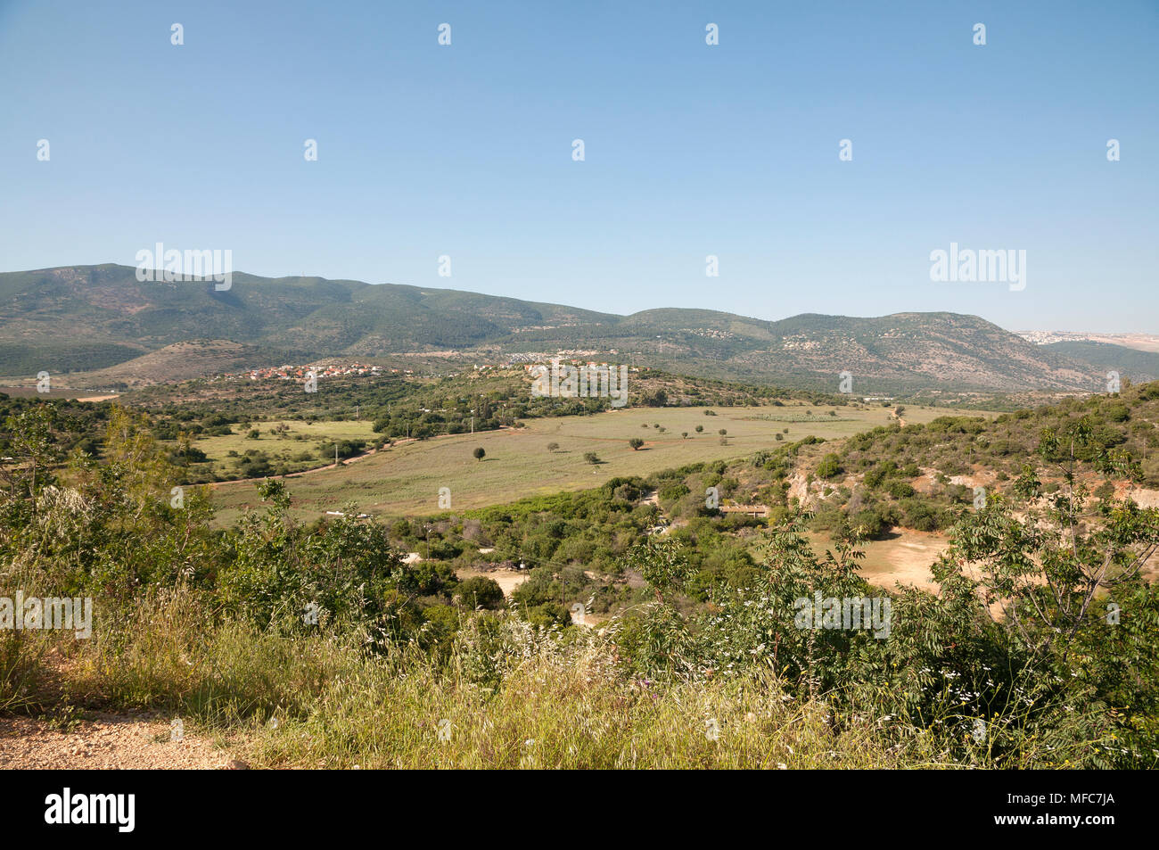 Har meron -Fotos und -Bildmaterial in hoher Auflösung – Alamy