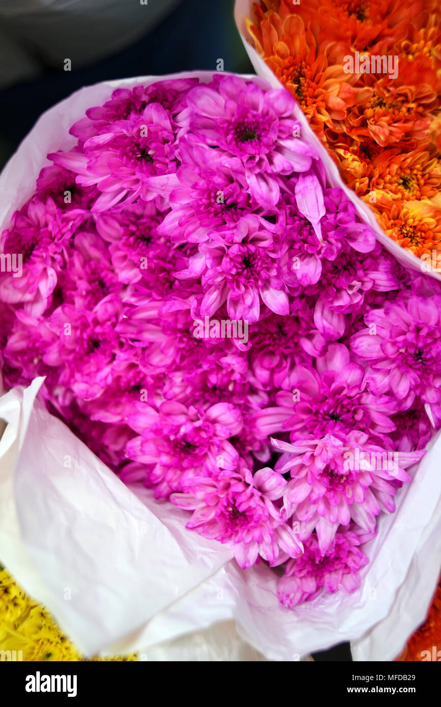 Rosa Chrysanthemen in einem Blumenstrauß an einem Blumenmarkt ...