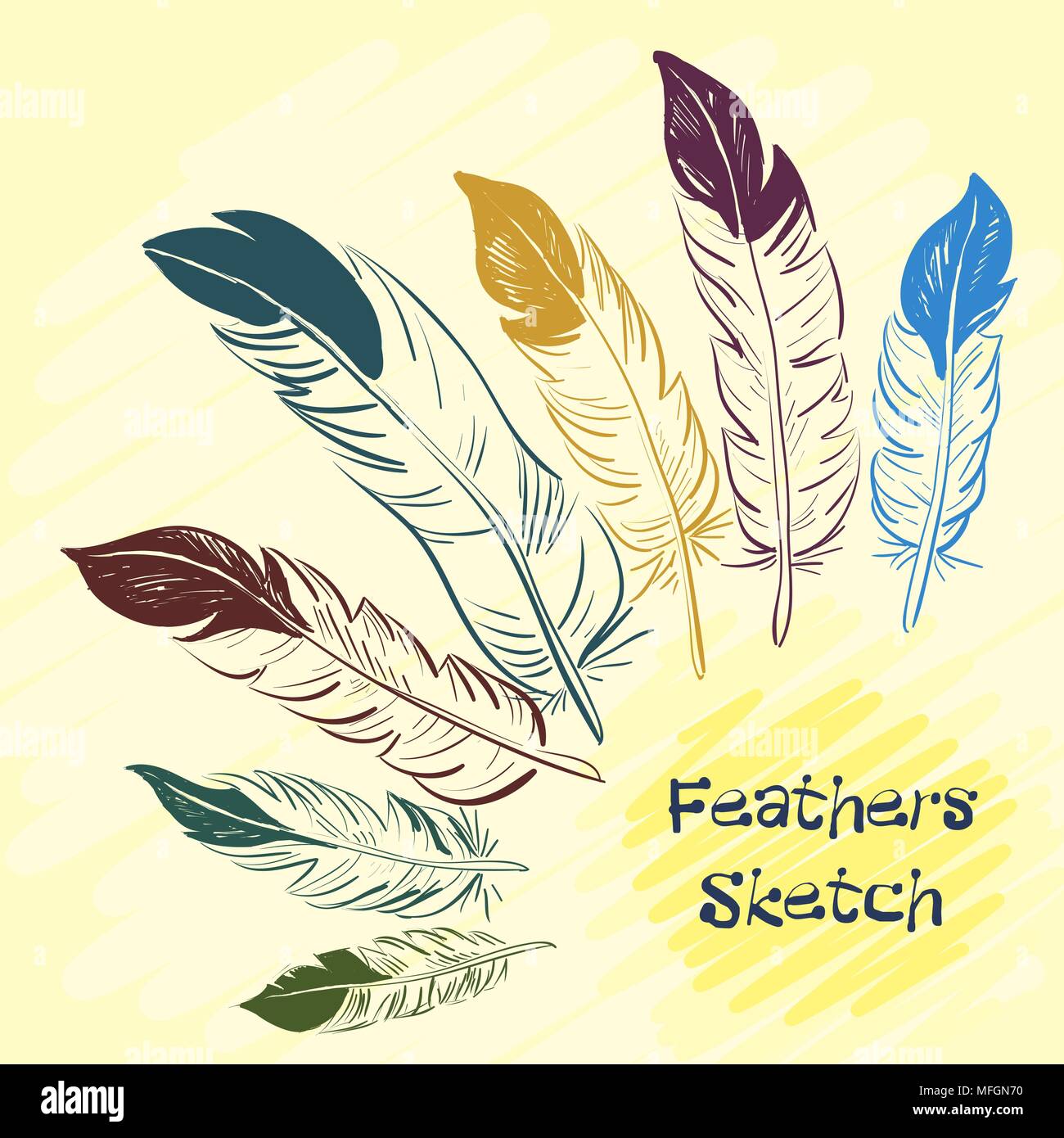 Satz von wunderschönen bunten Federn. Skizze Federn. Vector ...
