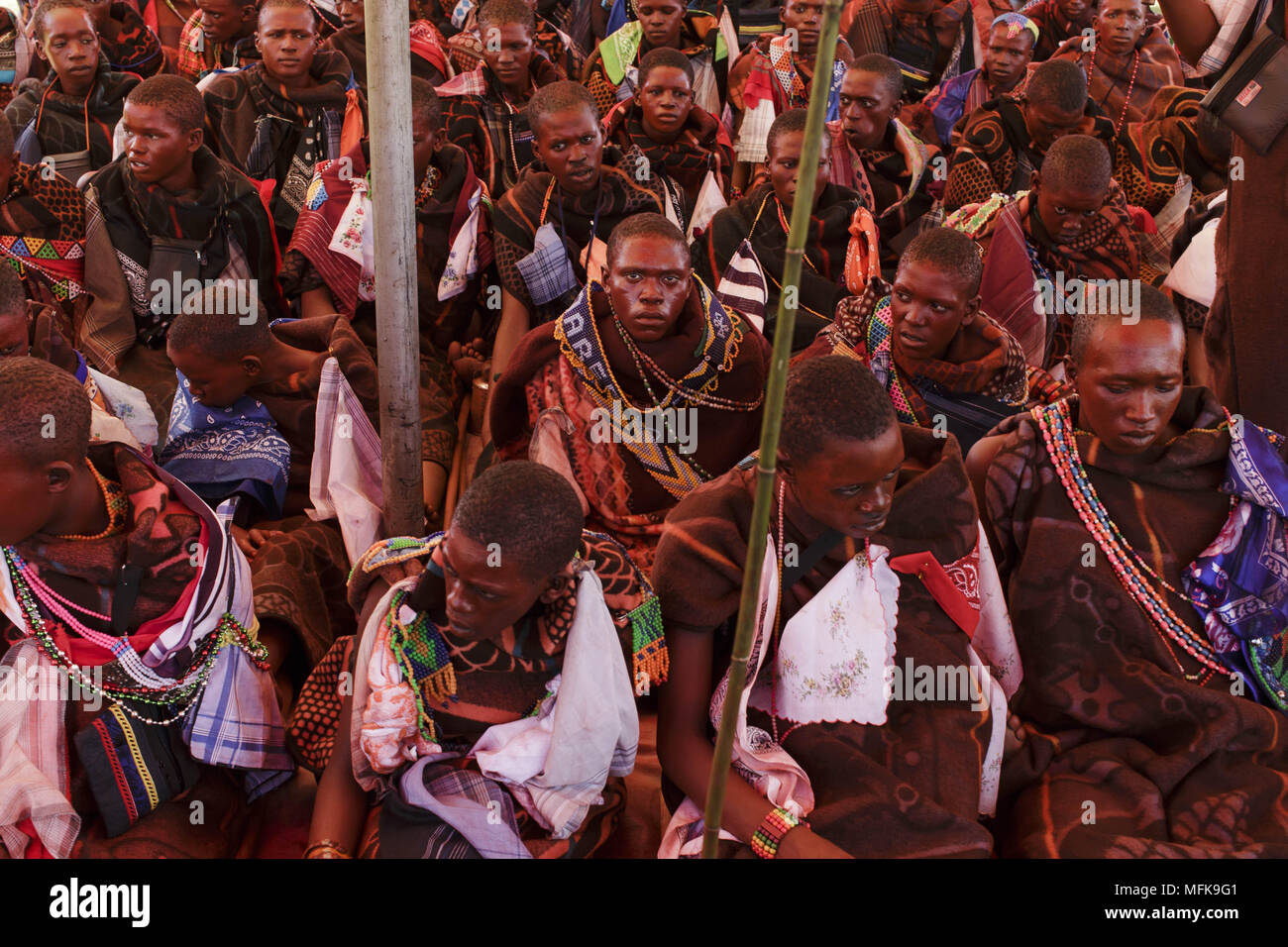 Afrikanische eingeweihte -Fotos und -Bildmaterial in hoher Auflösung ...