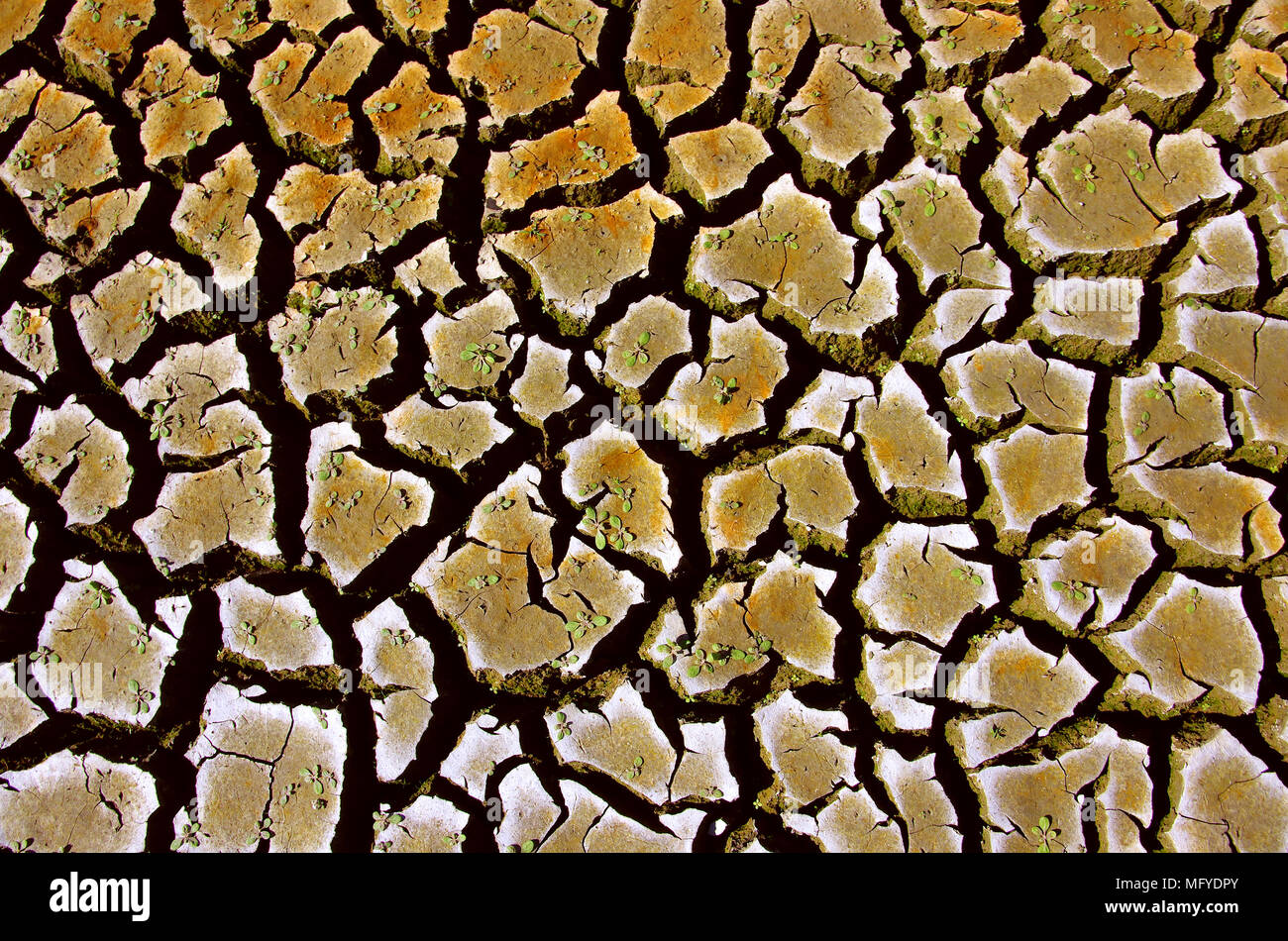 Clay soil texture background dried -Fotos und -Bildmaterial in hoher ...