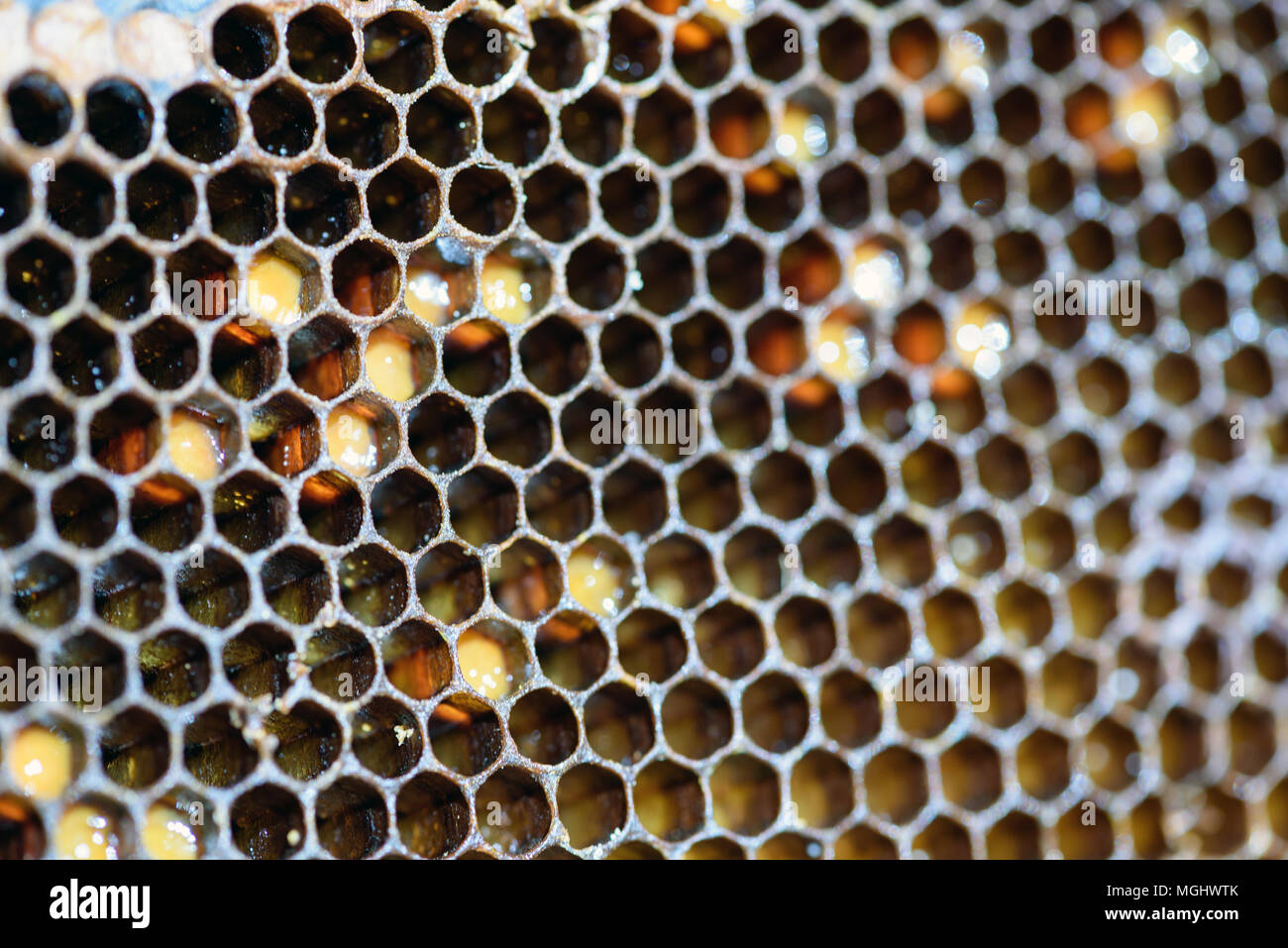 Eine wabenform -Fotos und -Bildmaterial in hoher Auflösung – Alamy