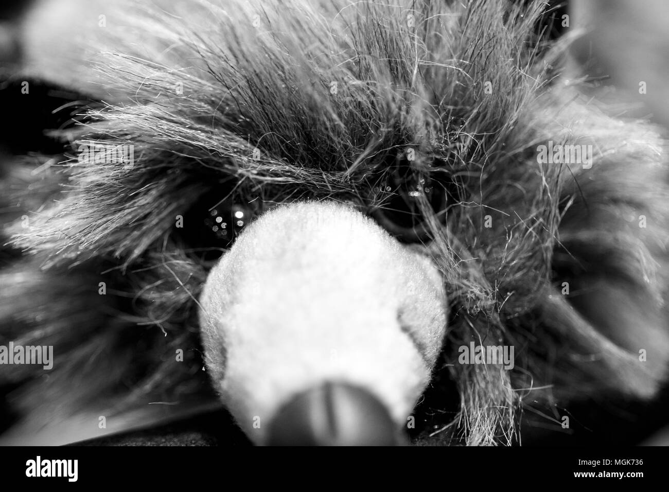Schwarze muppet -Fotos und -Bildmaterial in hoher Auflösung – Alamy