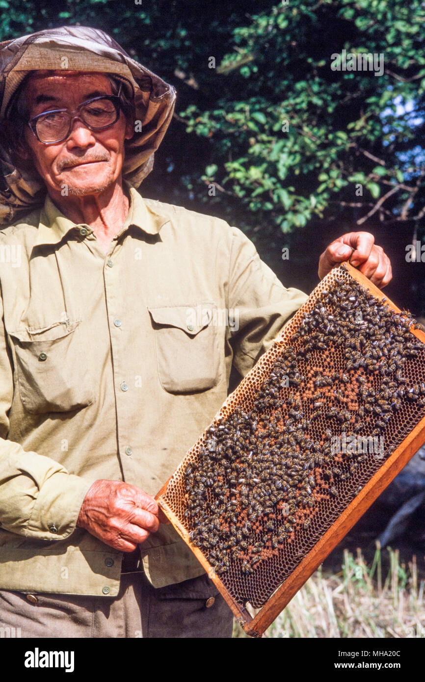 Bikin river -Fotos und -Bildmaterial in hoher Auflösung – Alamy