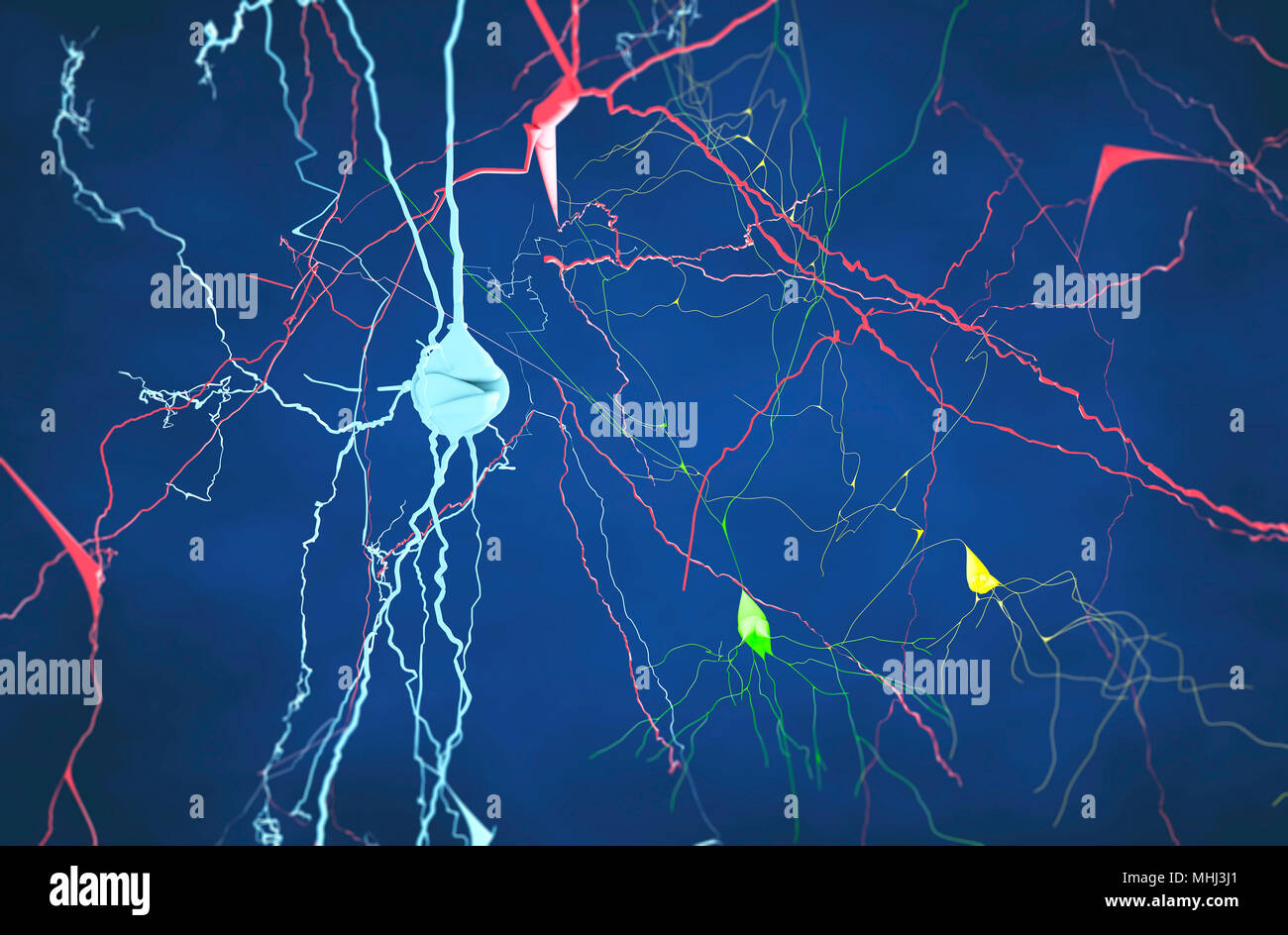Gehirn, Neuronen, Synapsen, neuronales Netz Schaltung von Neuronen ...