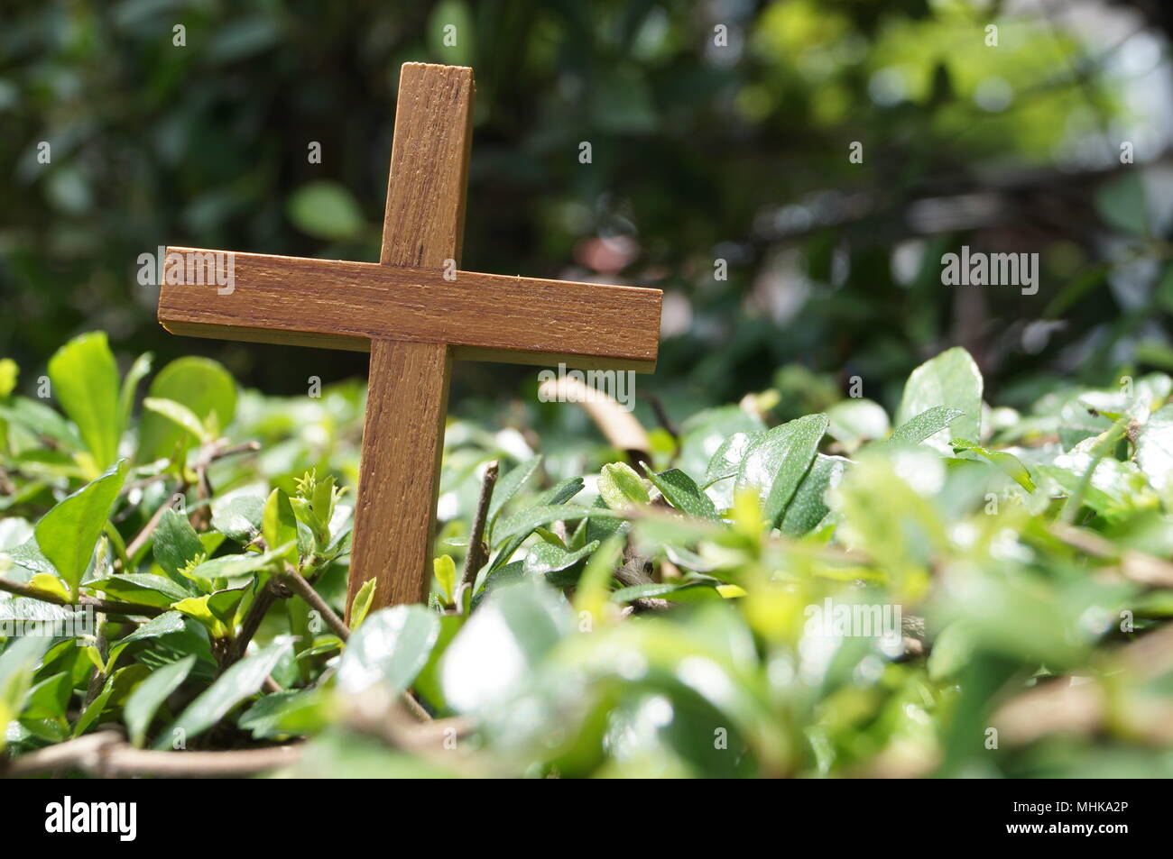 Das kreuz unseres herrn jesus christus -Fotos und -Bildmaterial in hoher Auflösung - Seite 6 - Alamy
