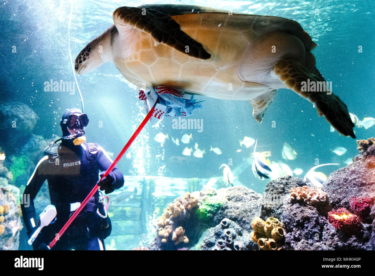Fabelhafte Aquarium Timmendorfer Strand Bilder