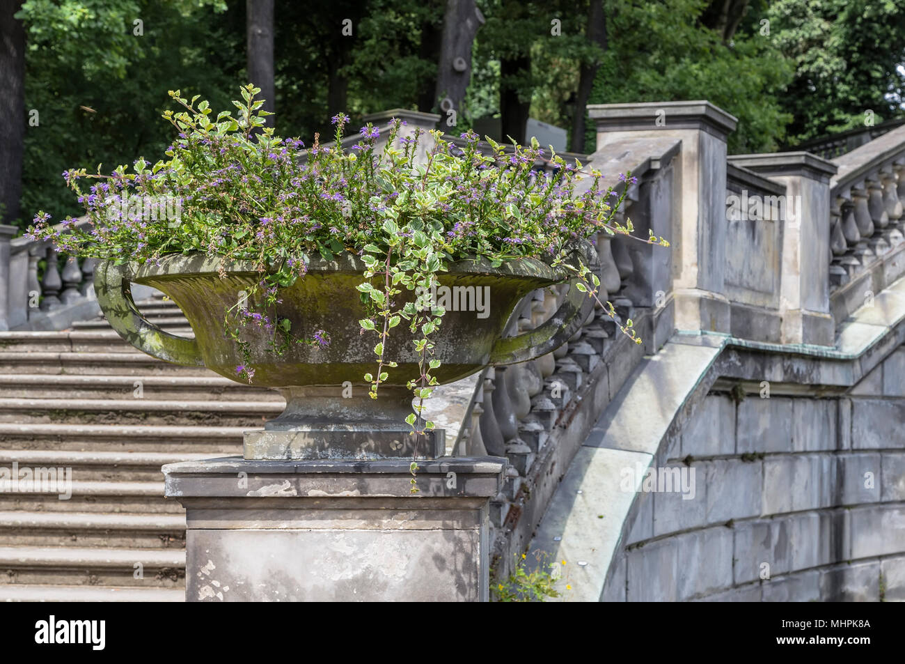 Rokoko blume -Fotos und -Bildmaterial in hoher Auflösung – Alamy