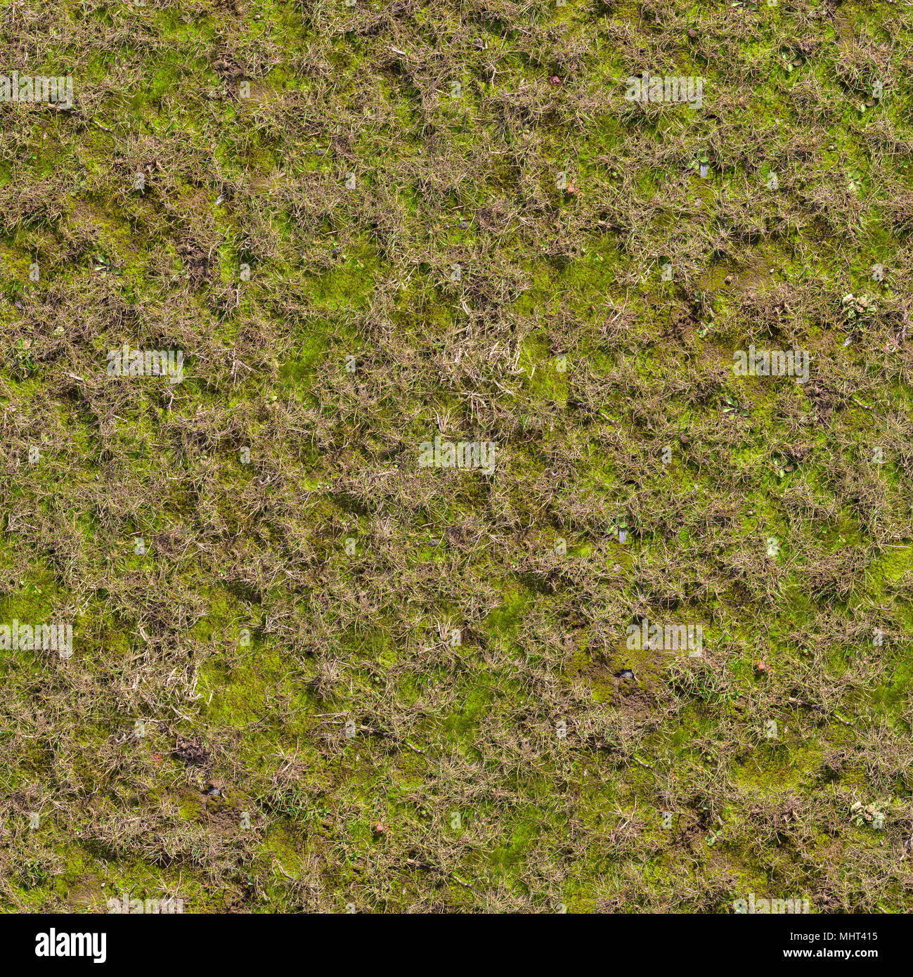 Seamless texture -Fotos und -Bildmaterial in hoher Auflösung – Alamy