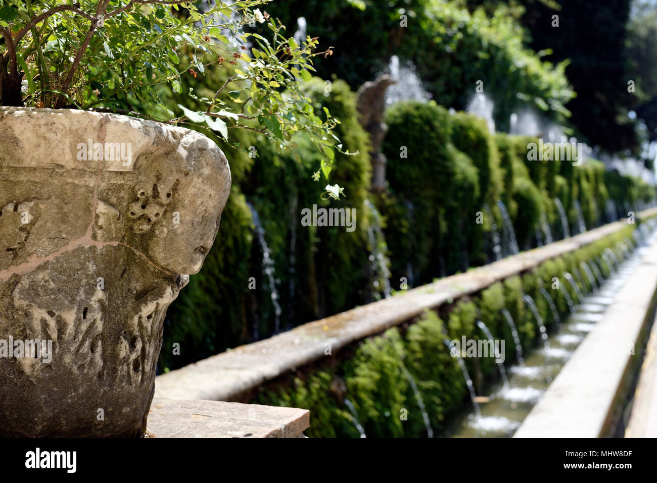 Le cento fontane -Fotos und -Bildmaterial in hoher Auflösung – Alamy