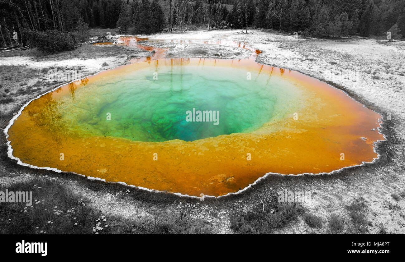 Pool bakterien -Fotos und -Bildmaterial in hoher Auflösung – Alamy