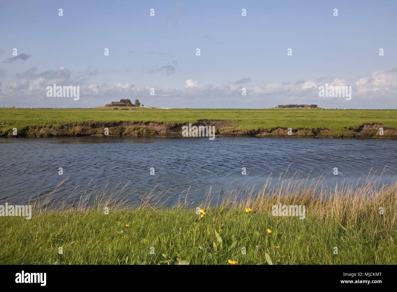 Warften auf der hallig hooge -Fotos und -Bildmaterial in hoher ...