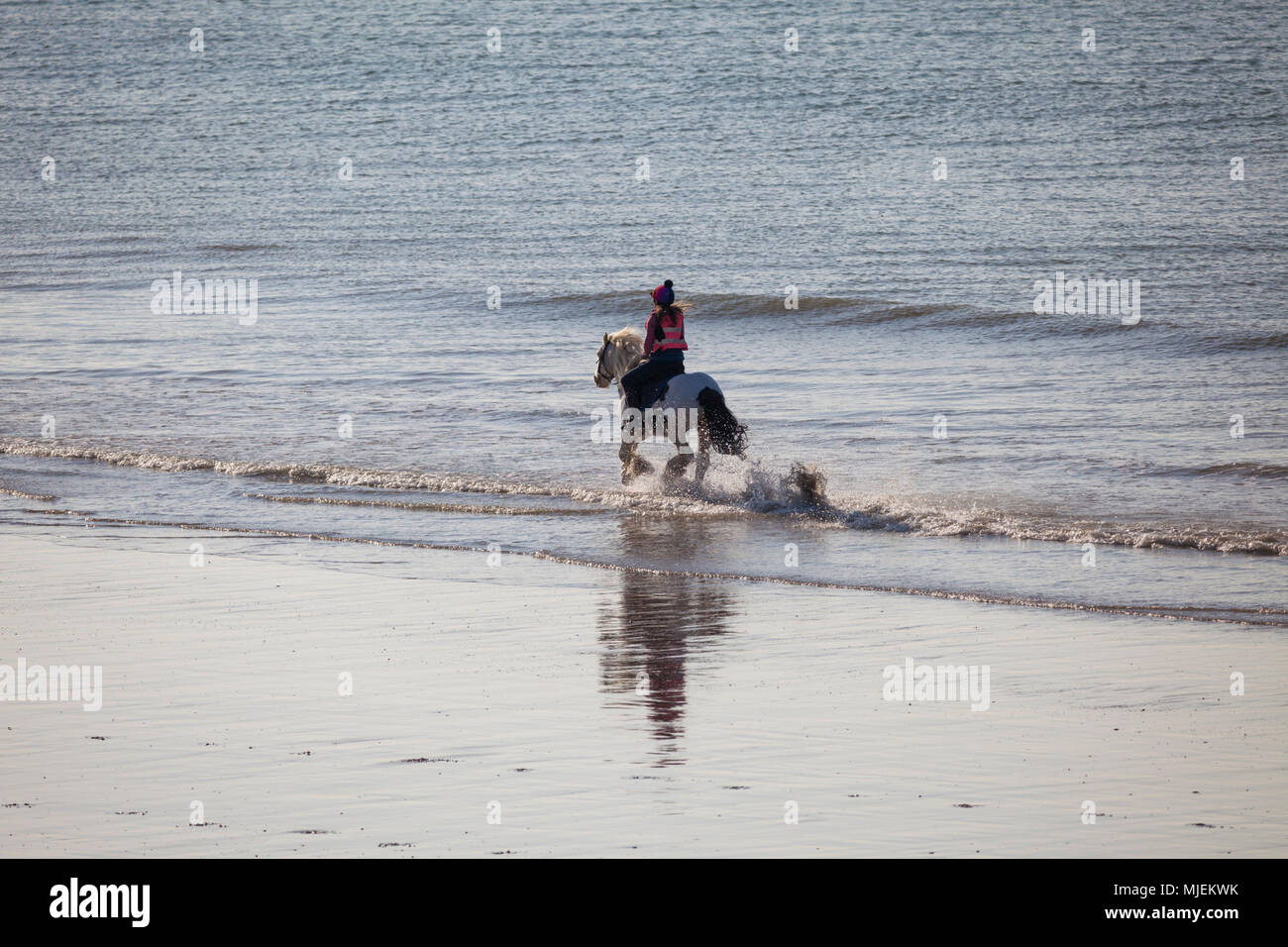 Galoppierendes pferd am strand -Fotos und -Bildmaterial in hoher ...