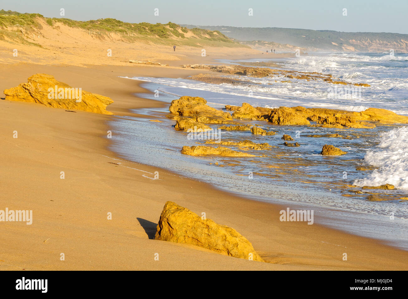 St andrews strand -Fotos und -Bildmaterial in hoher Auflösung – Alamy