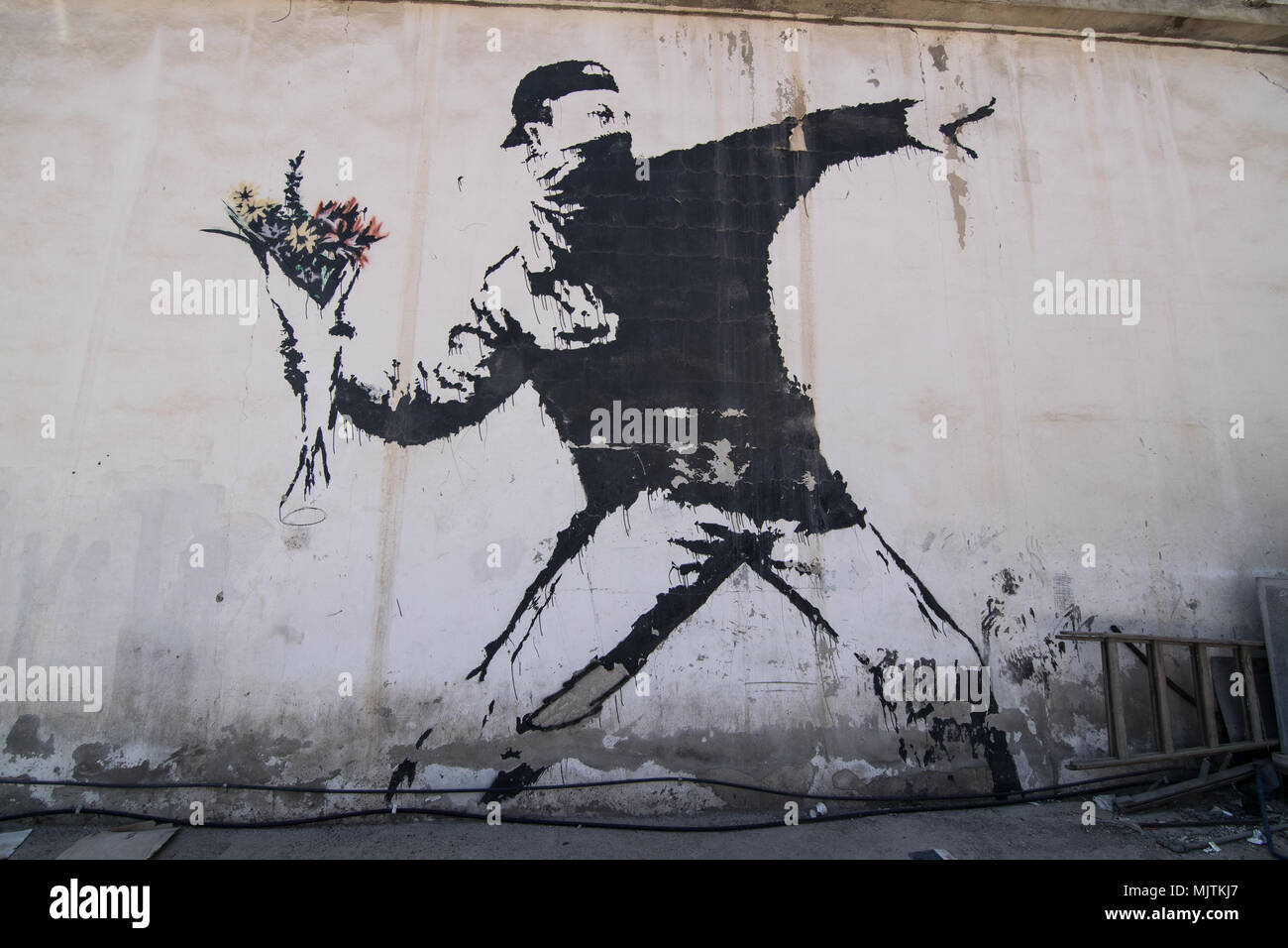 Spannende Flower Thrower By Banksy Bilder