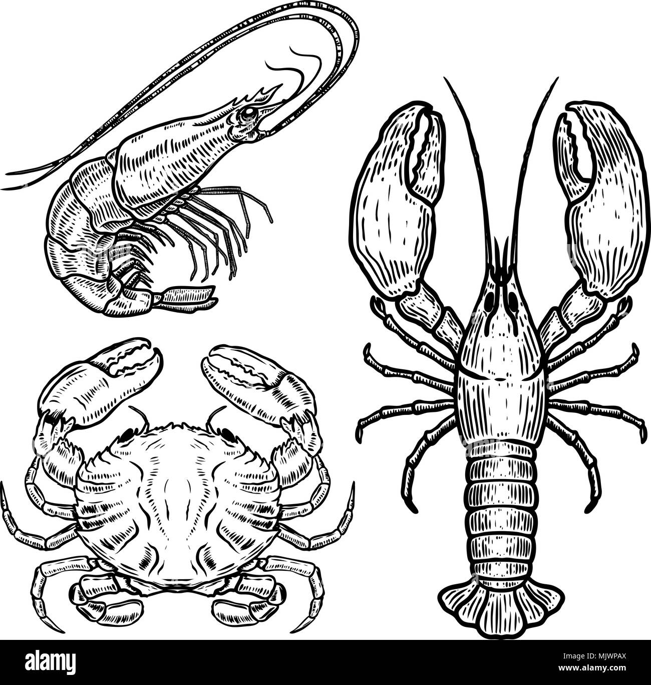 Krabben auf der speisekarte Schwarzweiß-Stockfotos und -bilder - Alamy