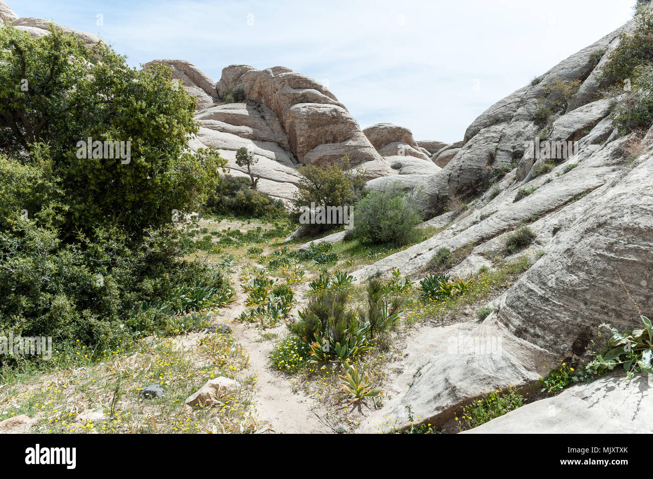 Dana Biosphärenreservat ist Jordanien das größte Naturschutzgebiet im ...