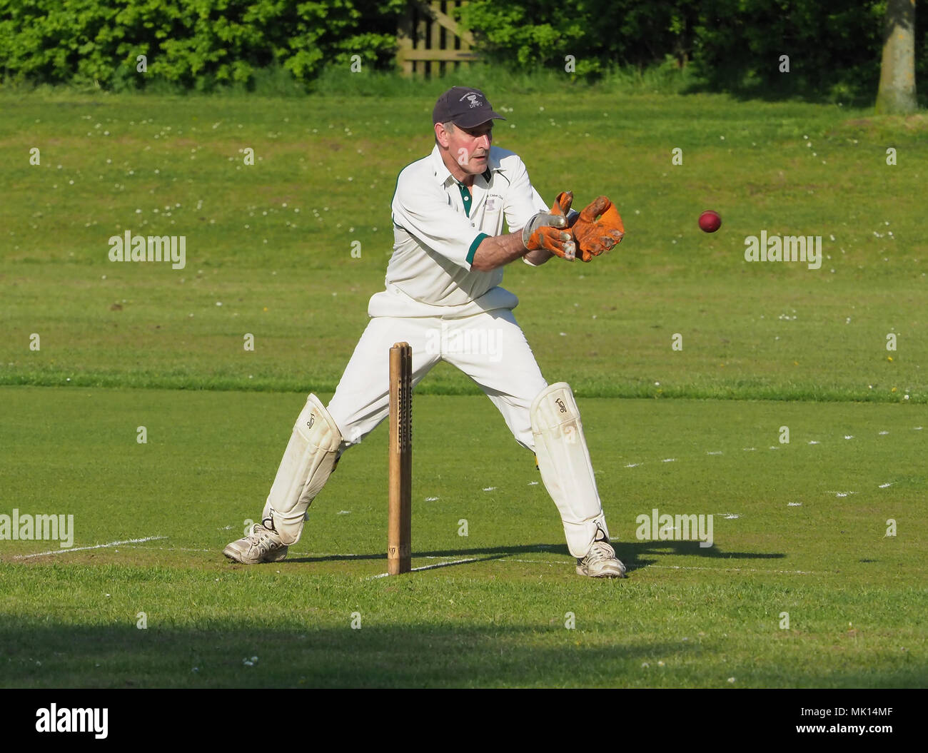 Cricket stumping -Fotos und -Bildmaterial in hoher Auflösung – Alamy