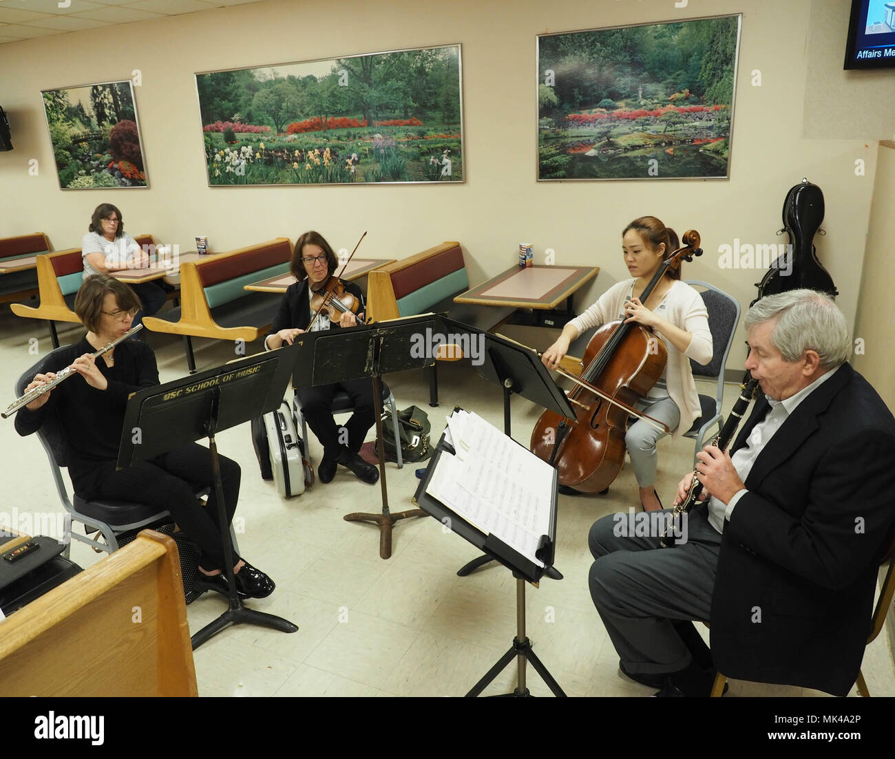 Heilende Harmonien, eine Zeichenfolge und Wind instrument Abschnitt der ...