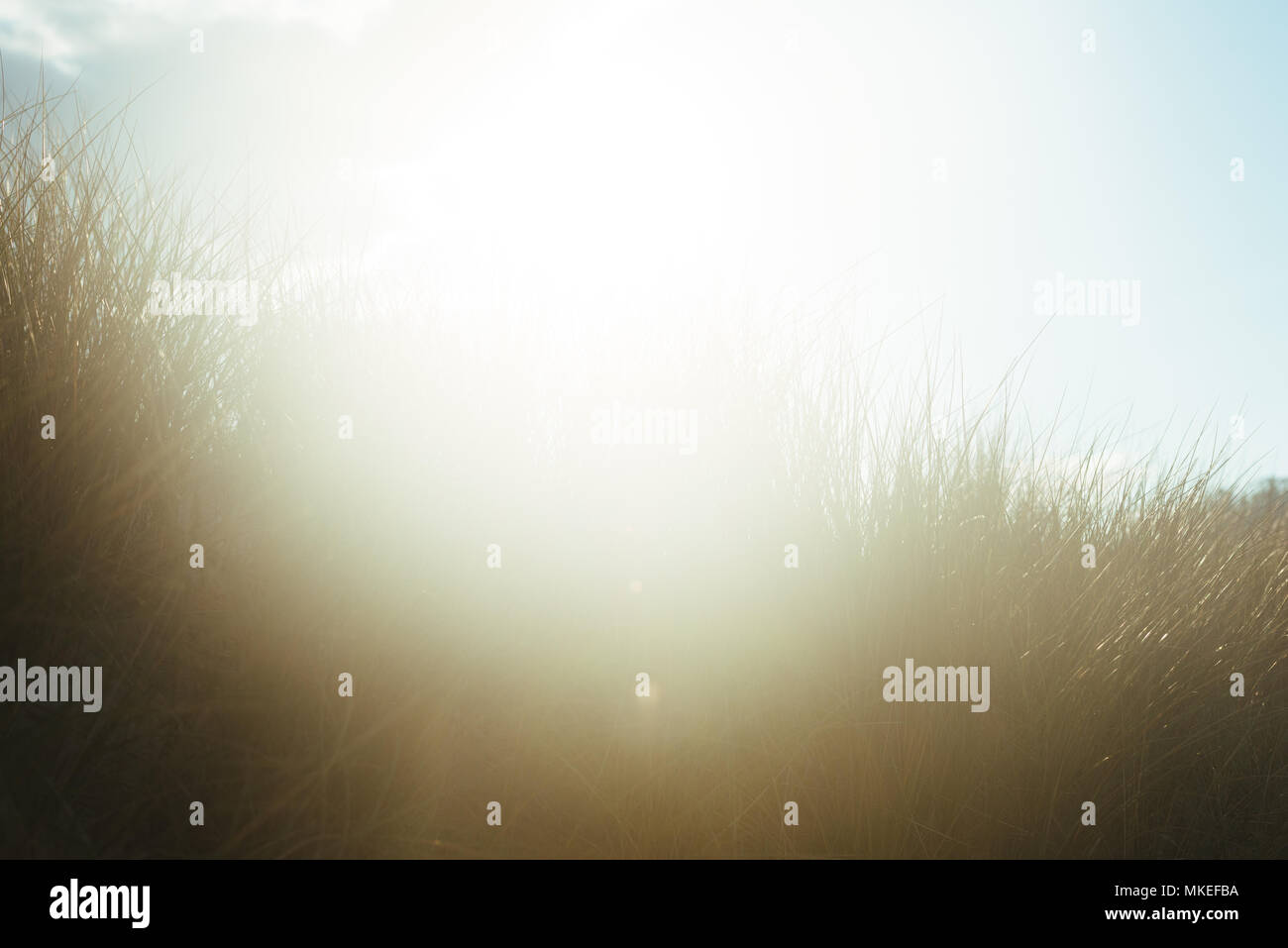 Geblendete sonne -Fotos und -Bildmaterial in hoher Auflösung – Alamy