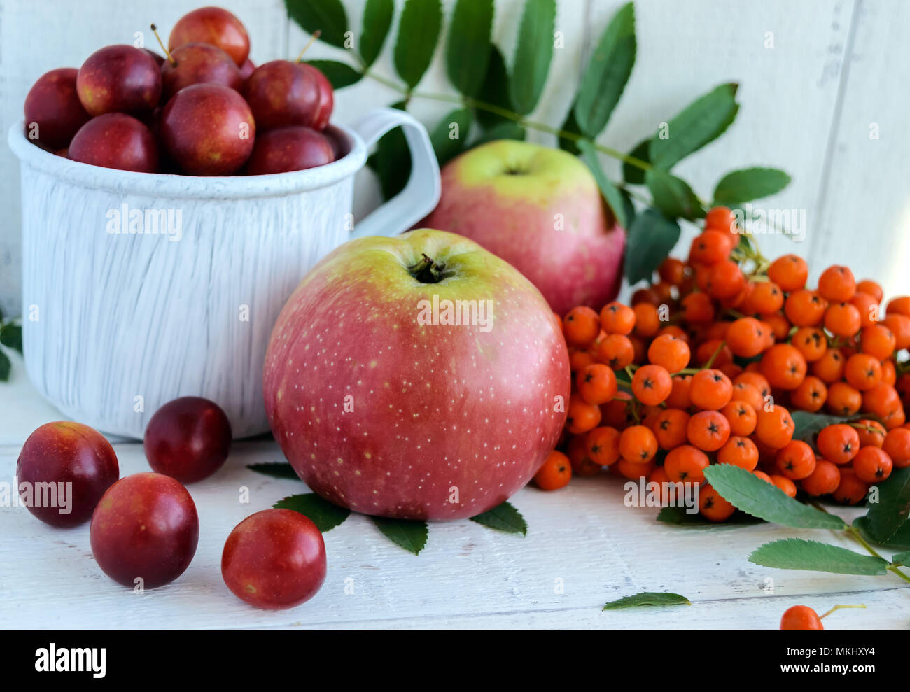 Bild Der Pflaume Stockfotos und -bilder Kaufen - Alamy