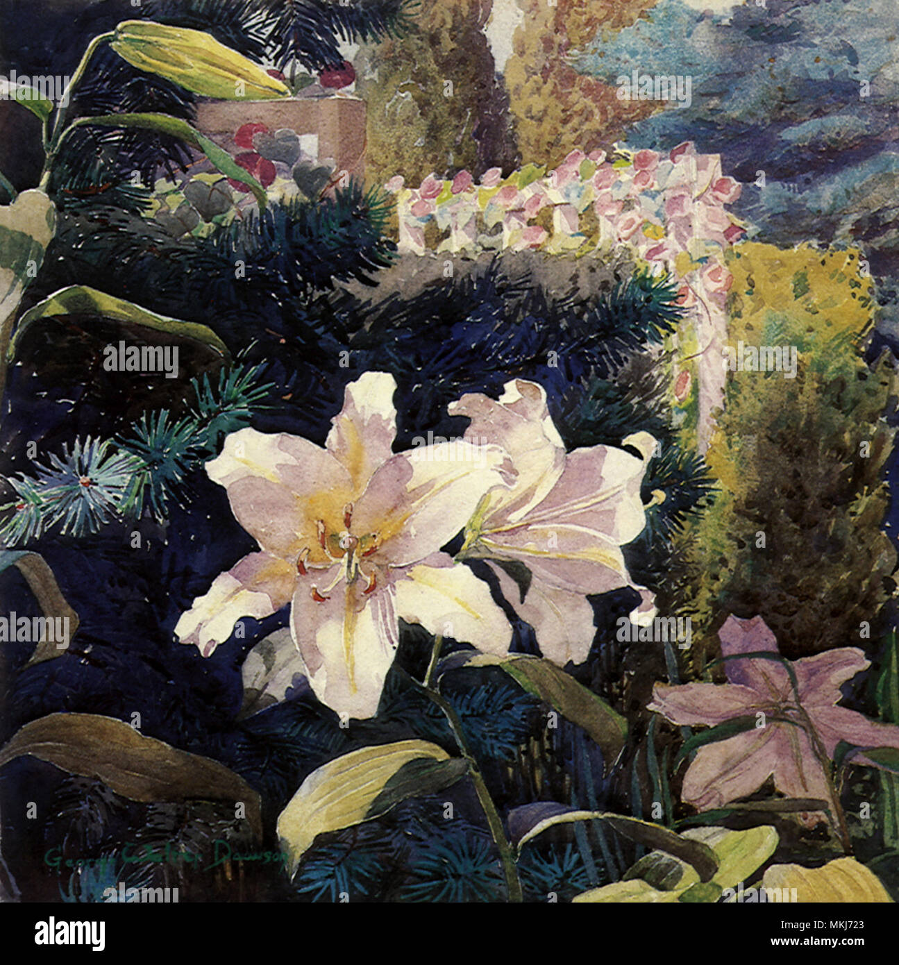 Drei lilien -Fotos und -Bildmaterial in hoher Auflösung – Alamy