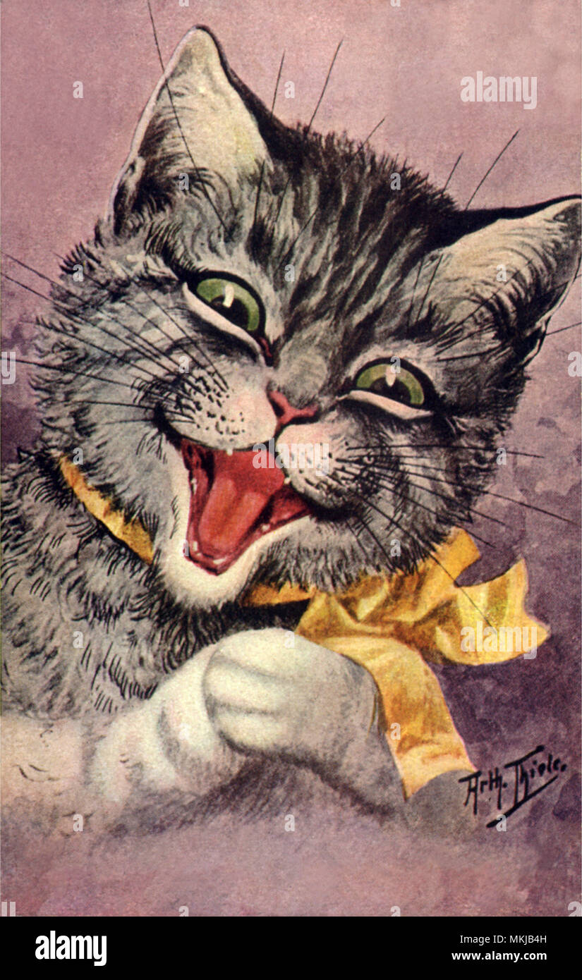 Die lachende katze -Fotos und -Bildmaterial in hoher Auflösung – Alamy