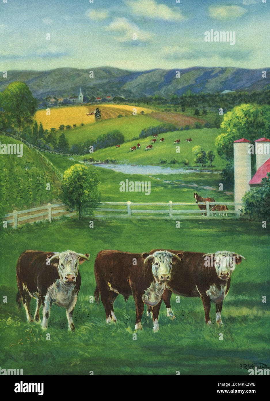 Three cows -Fotos und -Bildmaterial in hoher Auflösung – Alamy