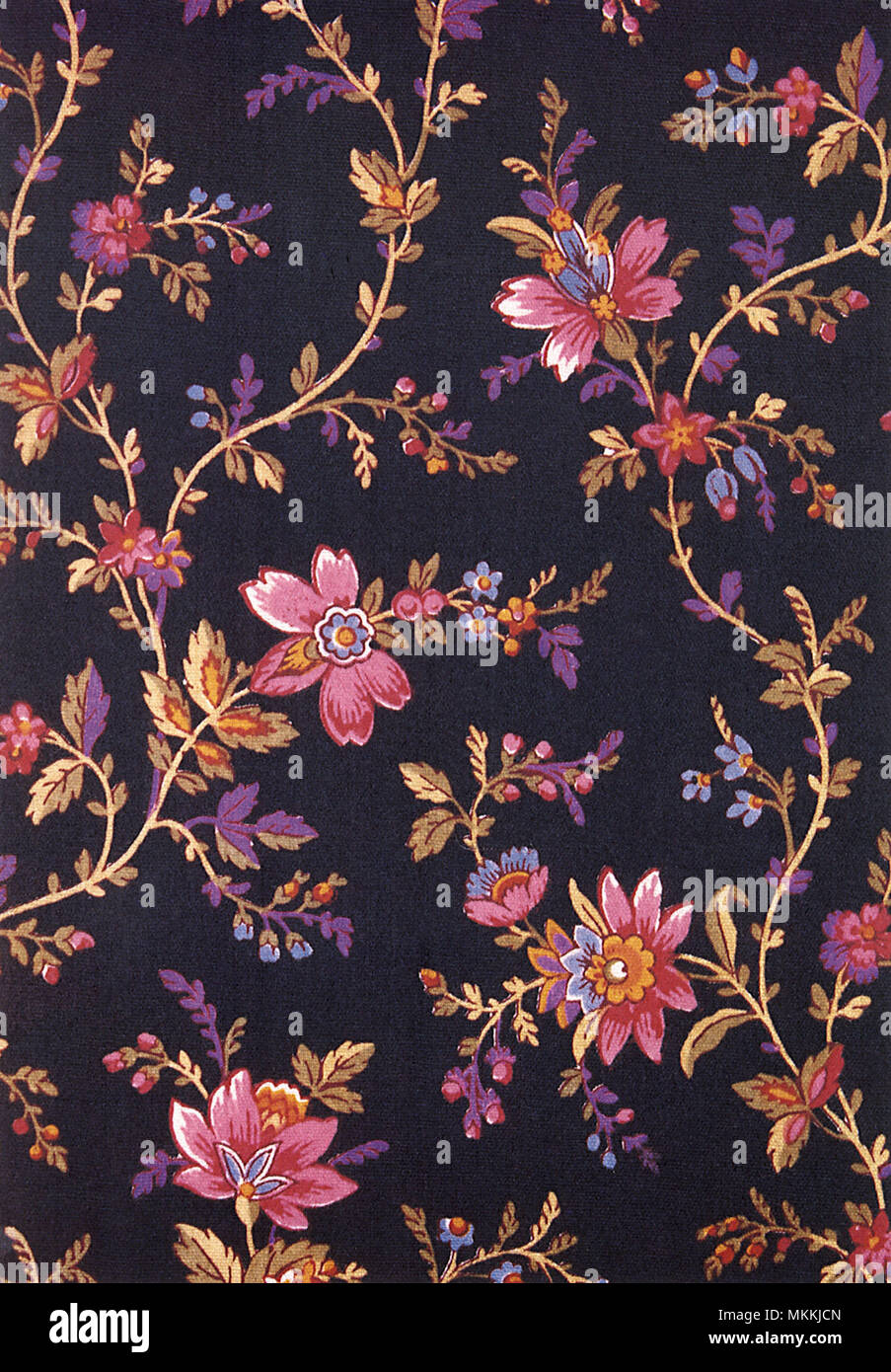 Blühende reben -Fotos und -Bildmaterial in hoher Auflösung – Alamy