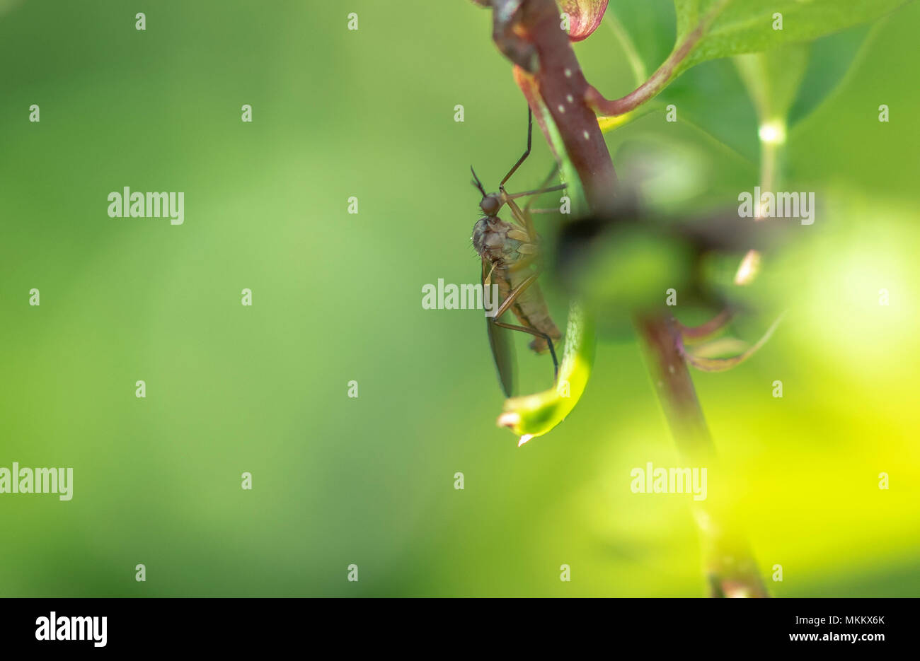 Jenna chamberlain-Stockfotos und -Bildmaterial von Alamy