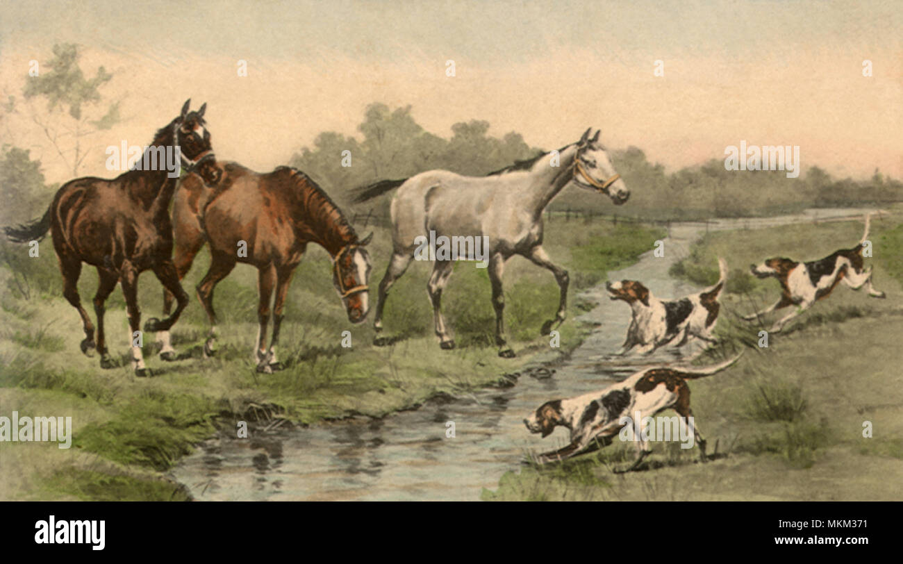 Hund und pferde -Fotos und -Bildmaterial in hoher Auflösung – Alamy