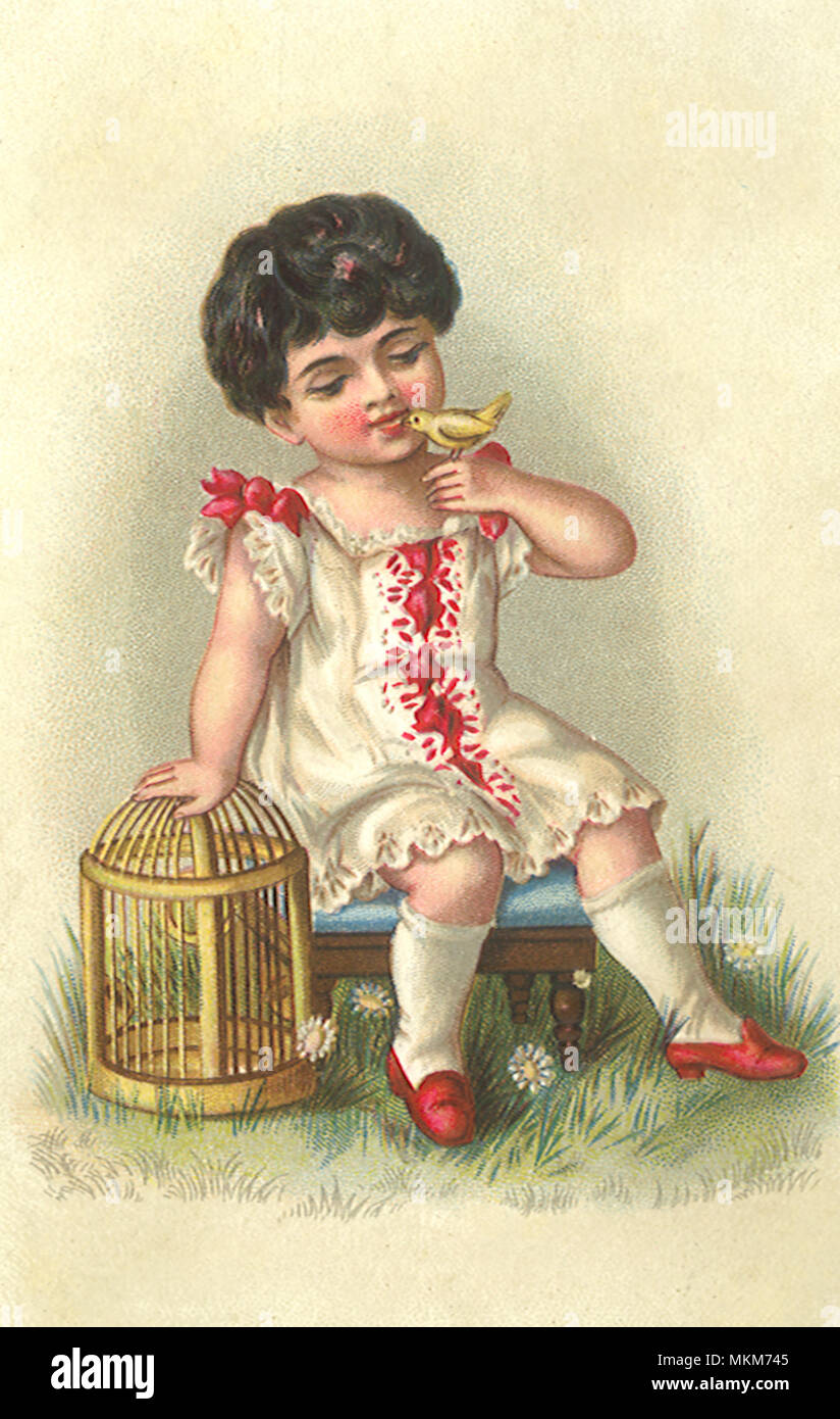 Victorian bird cage -Fotos und -Bildmaterial in hoher Auflösung – Alamy