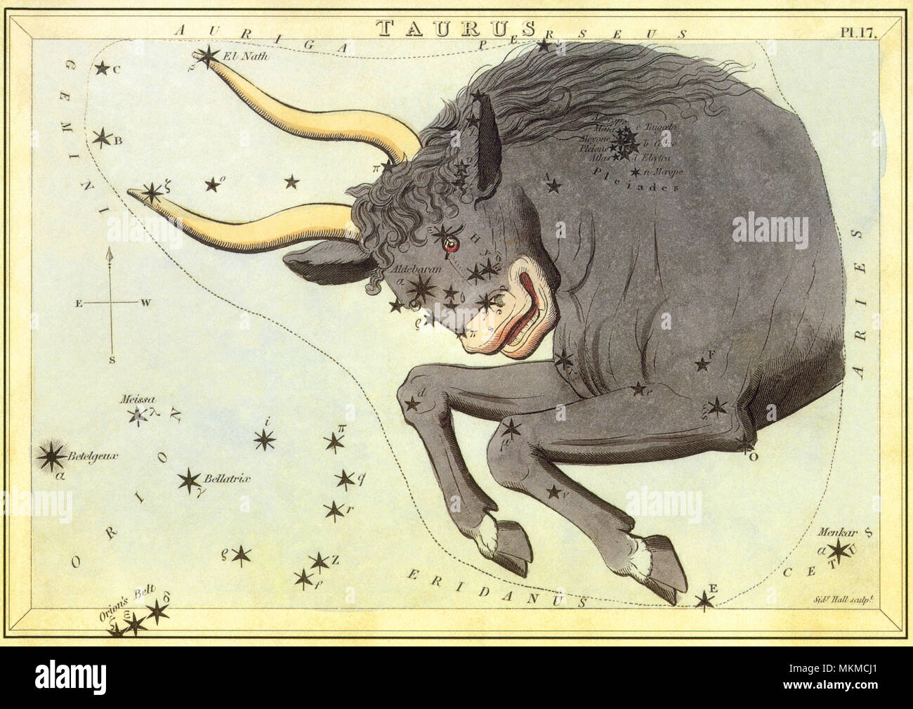 Sternbilder Stier Stockfotos und -bilder Kaufen - Alamy