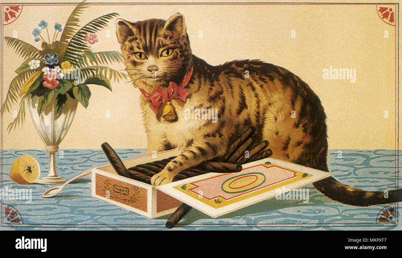 Cigar box labels -Fotos und -Bildmaterial in hoher Auflösung – Alamy