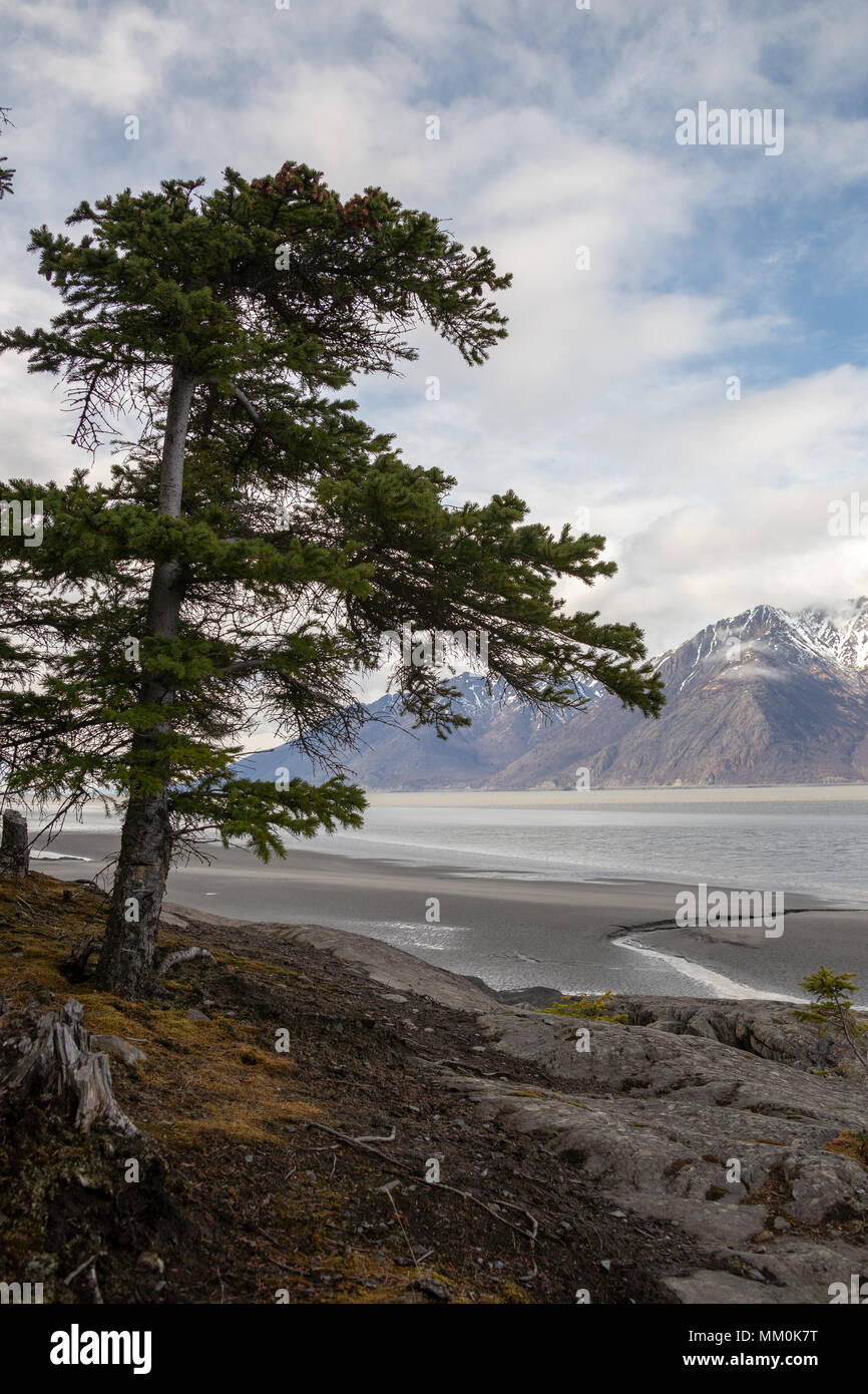 Turnagain Arm, Wattflächen, Bäume, Berge und Wasser. In der Nähe von ...