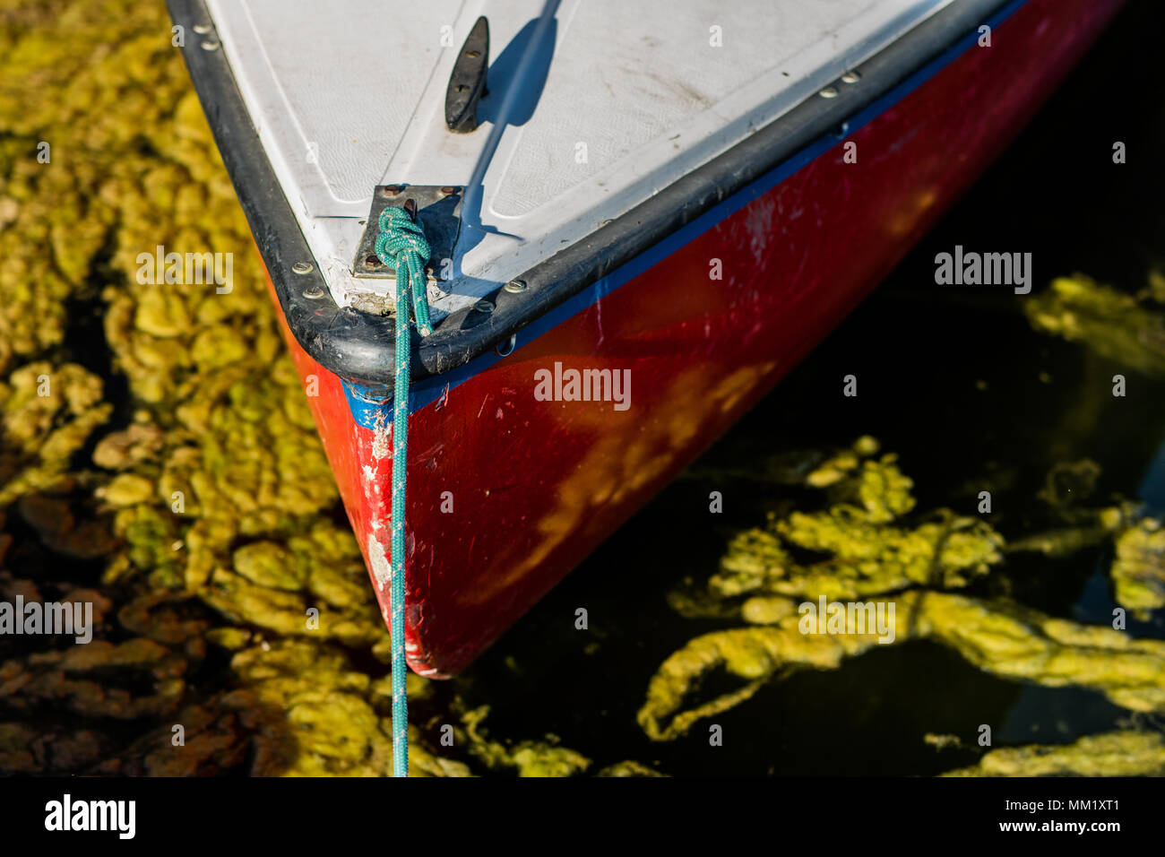 Ein kleines Segelboot auf dem Wasser. Blick auf das Schiff vom Bug ...